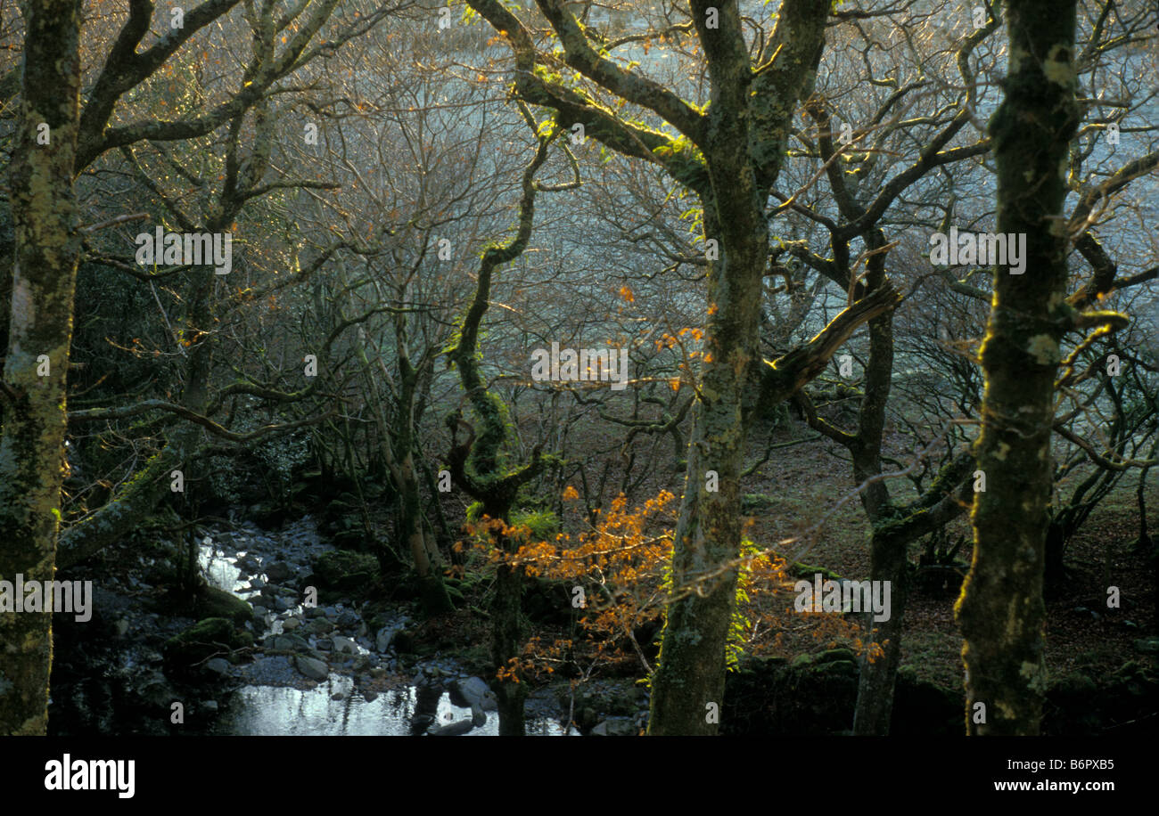 Beautiful stream valley hi-res stock photography and images - Alamy