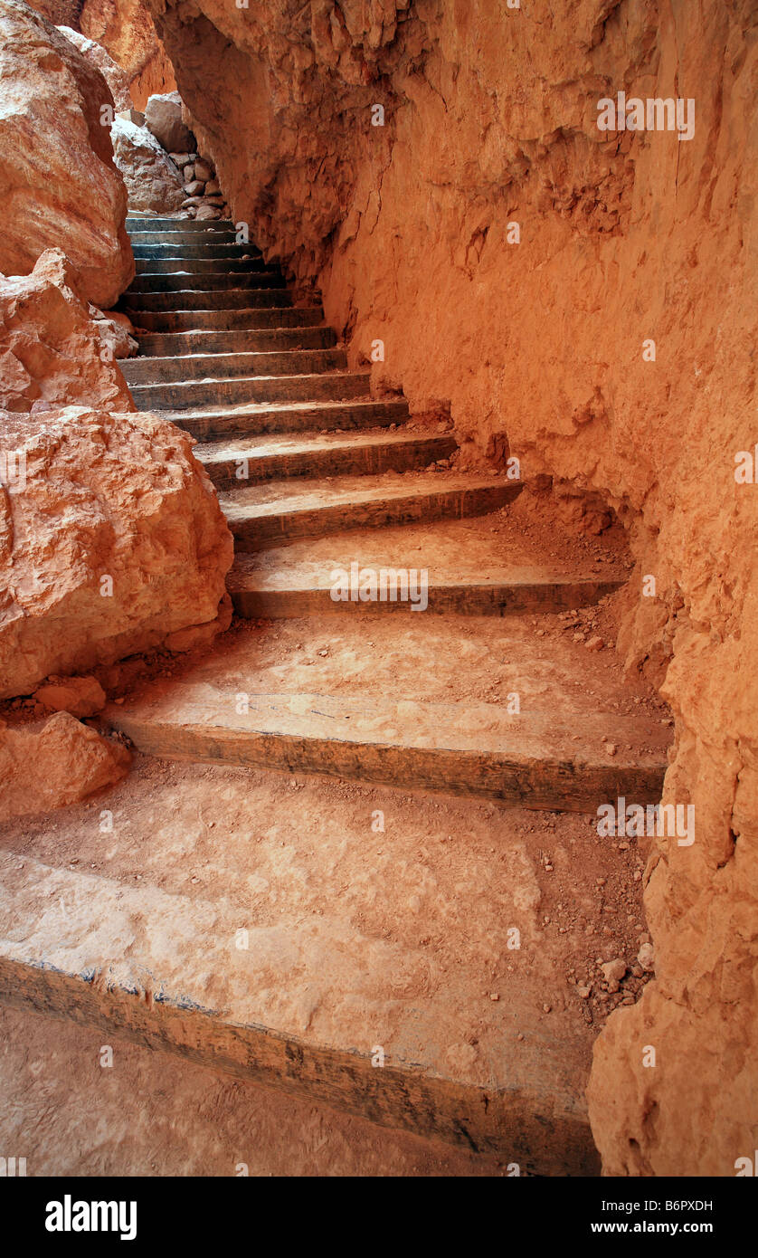 Stairs in Bryce Canyon Stock Photo - Alamy
