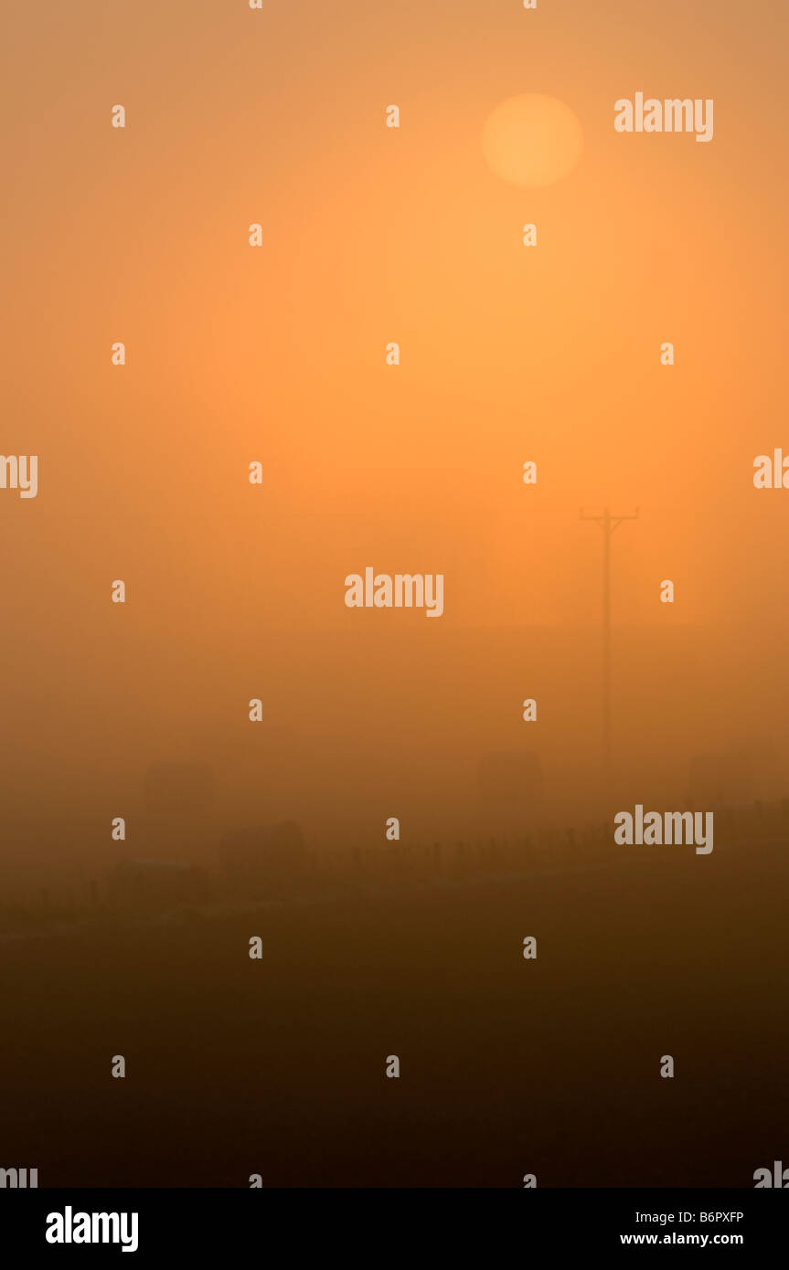 Orange Sunset through fog Stock Photo - Alamy