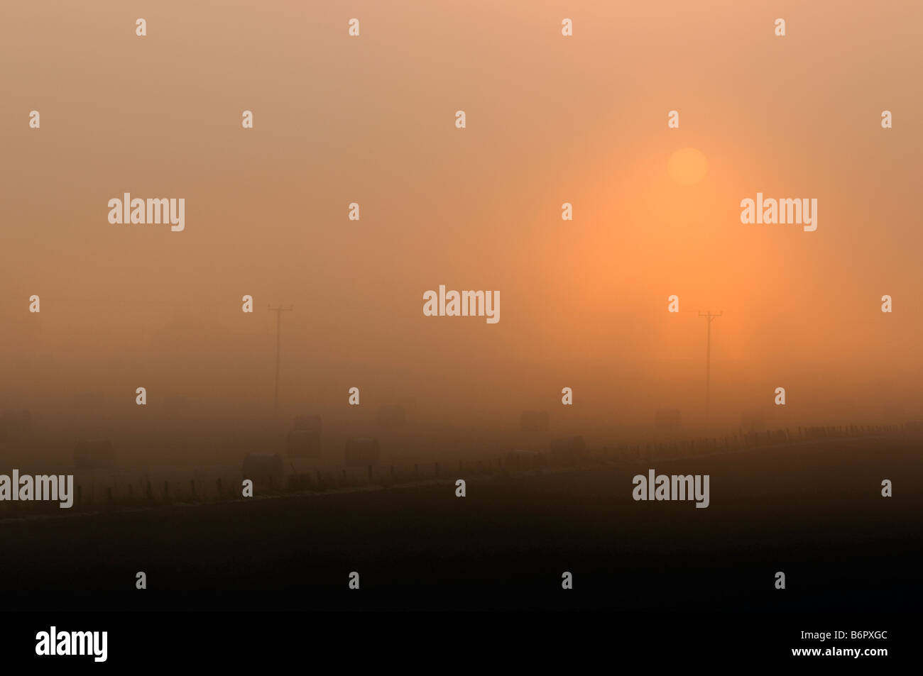 Orange Sunset through fog Stock Photo - Alamy