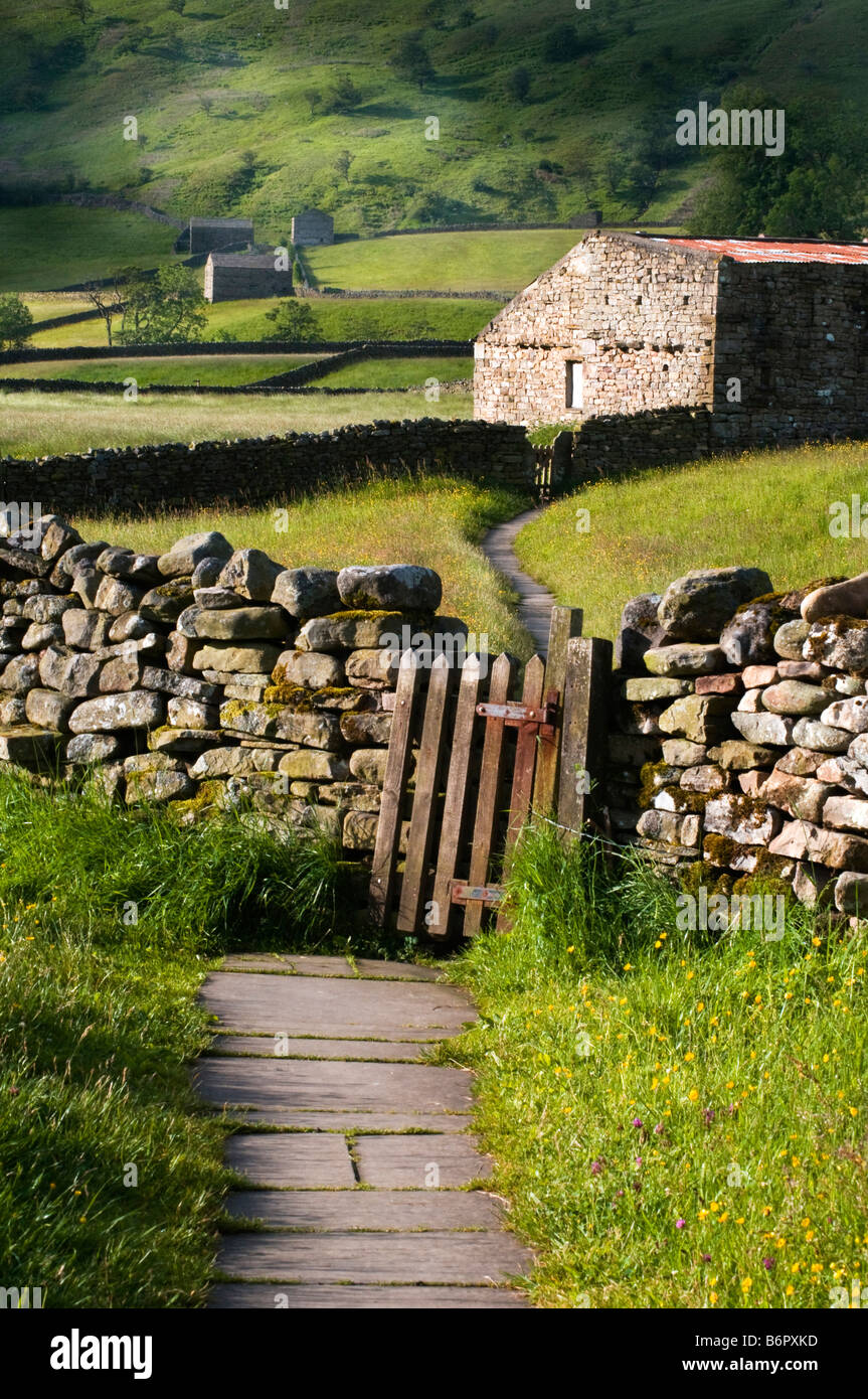 Dales meadow hi-res stock photography and images - Alamy