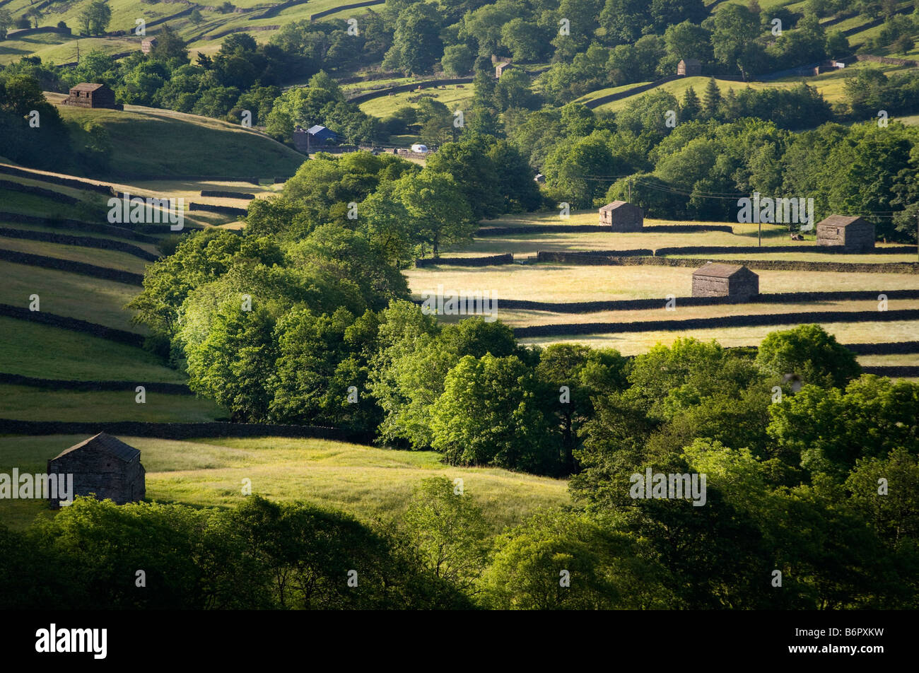 Yorkshire dales barns hi-res stock photography and images - Alamy