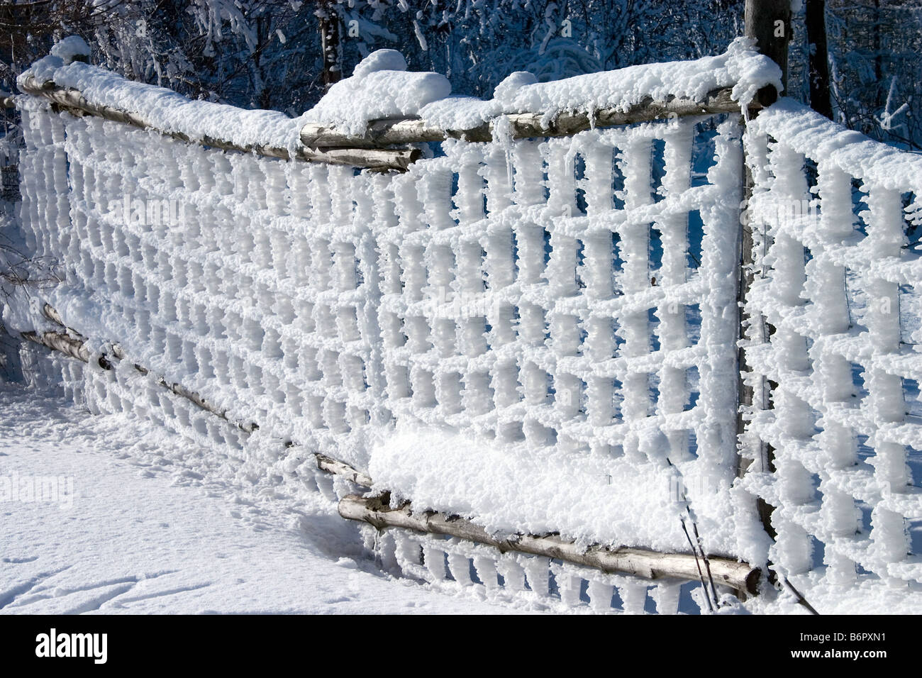 Frozen fence in the snow hi-res stock photography and images - Alamy