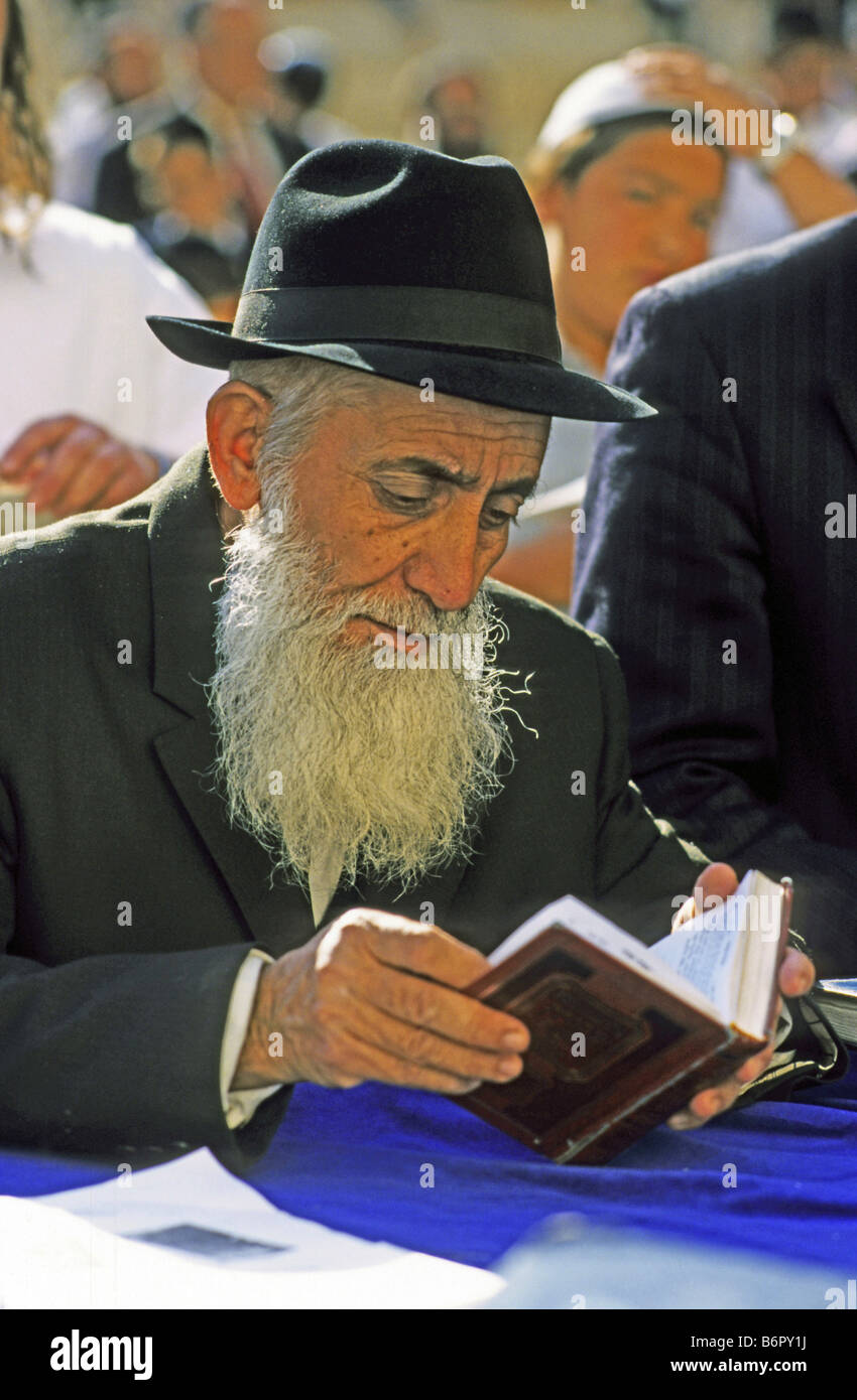 jew reading the Torah at Western Wall, Israel, Jerusalem Stock Photo ...