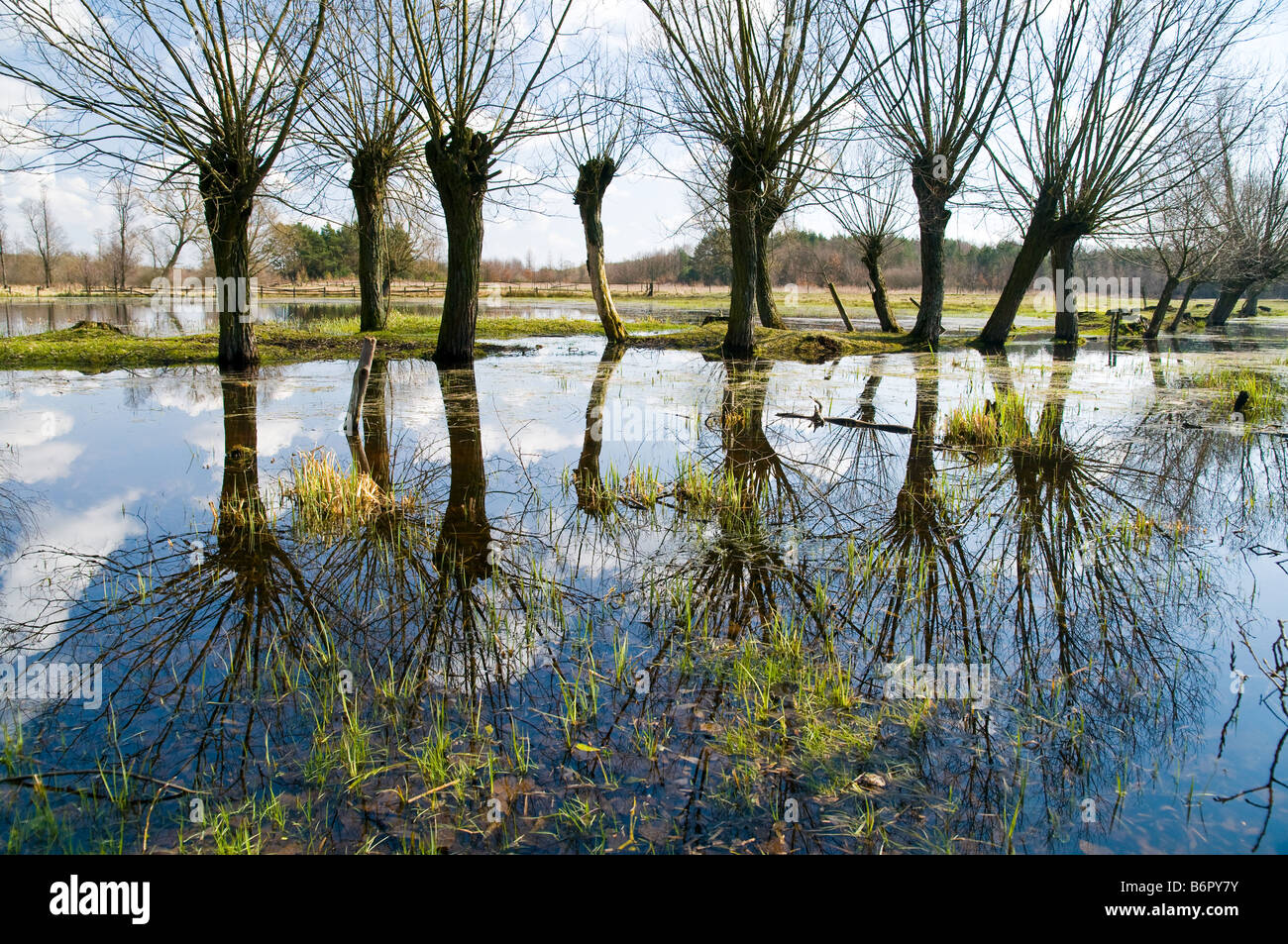 Warsaw landscape hi-res stock photography and images - Alamy
