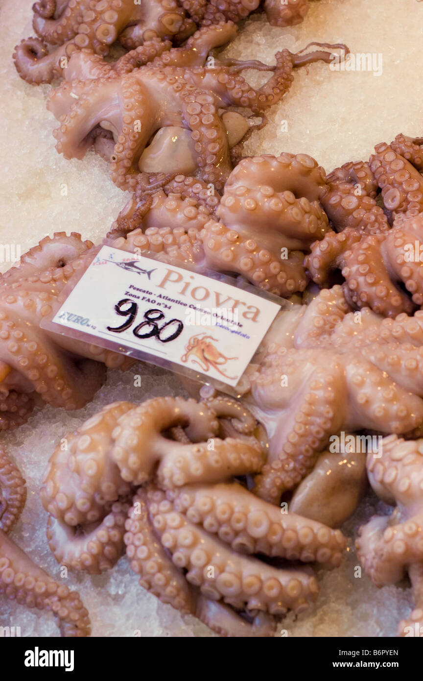 Venice Veneto Italy Octopus for sale on ice at Rialto Fish Market Stock ...