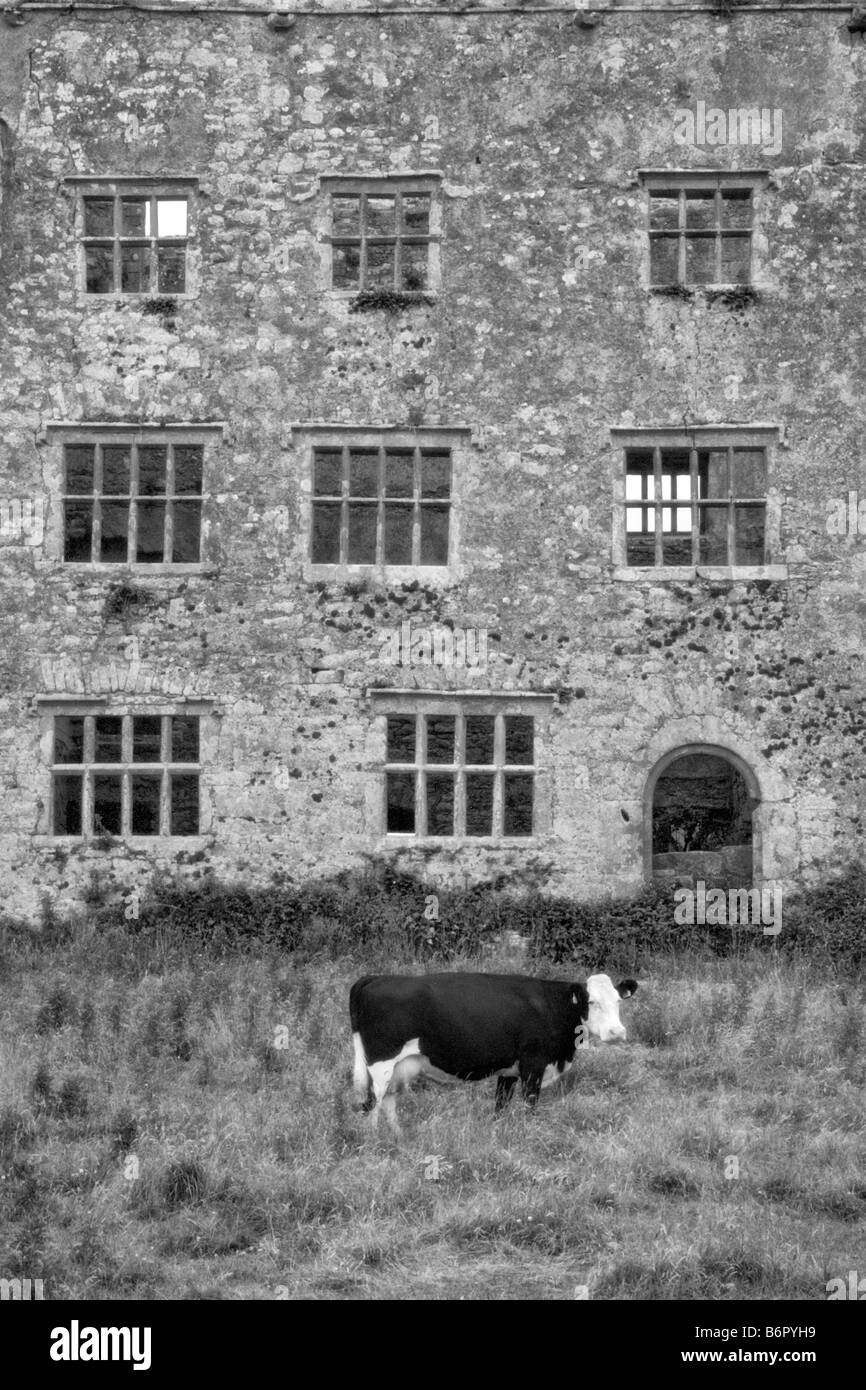 The burren ireland castle Black and White Stock Photos & Images - Alamy