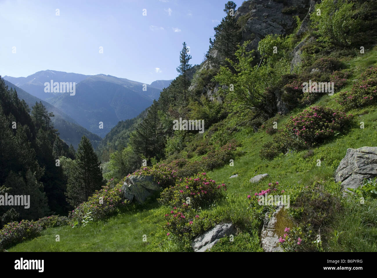 El serrat andorra hi-res stock photography and images - Alamy