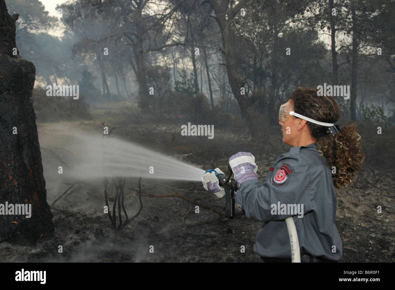 Israel Haifa Carmel Mountain Forest fire fighter fighting the flames ...