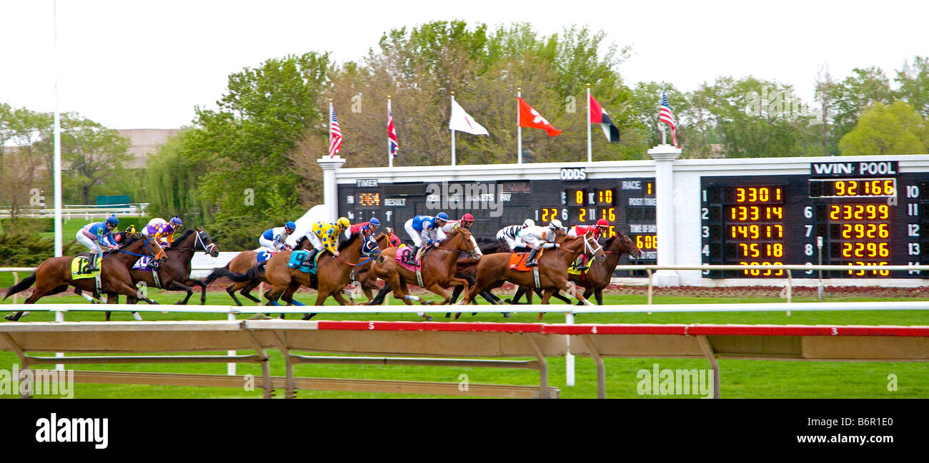 Synthetic turf horse race track hi-res stock photography and images - Alamy