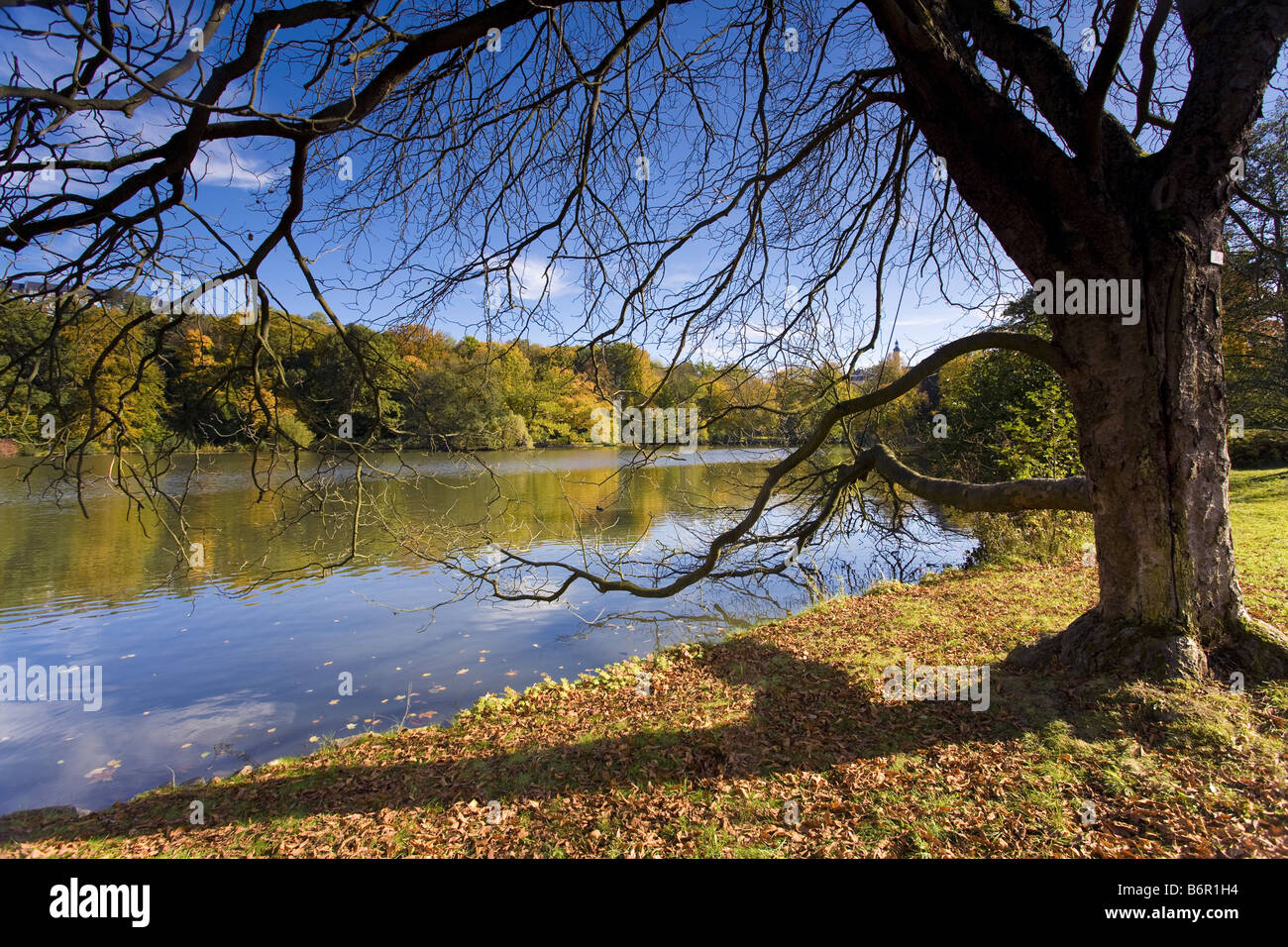 lake at palace ground Greiz, Germany, Thueringen, Greiz Stock Photo - Alamy