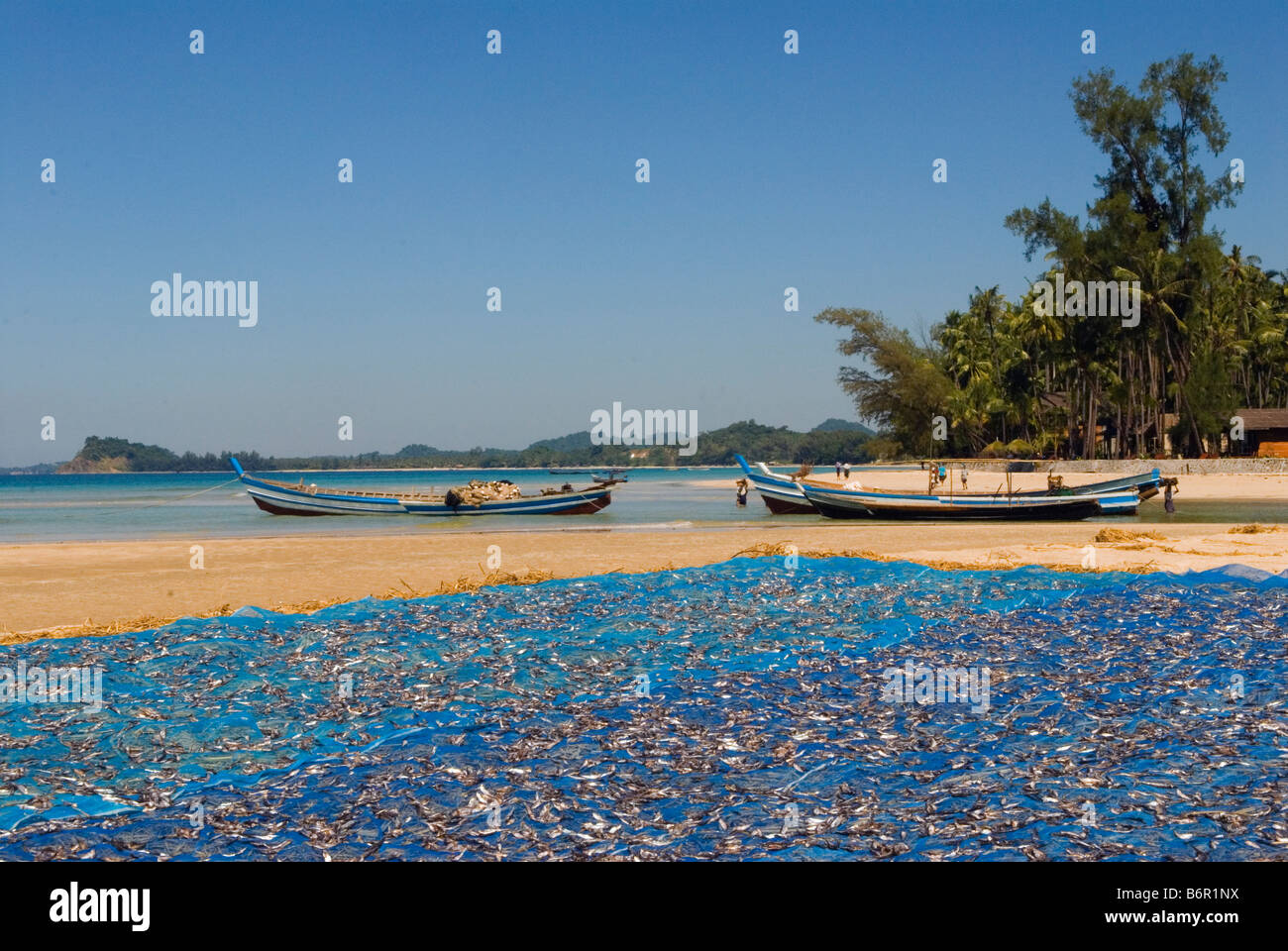 Ngapali beach near Thandwe Myanmar Burma Drying fish Jade Taw village ...