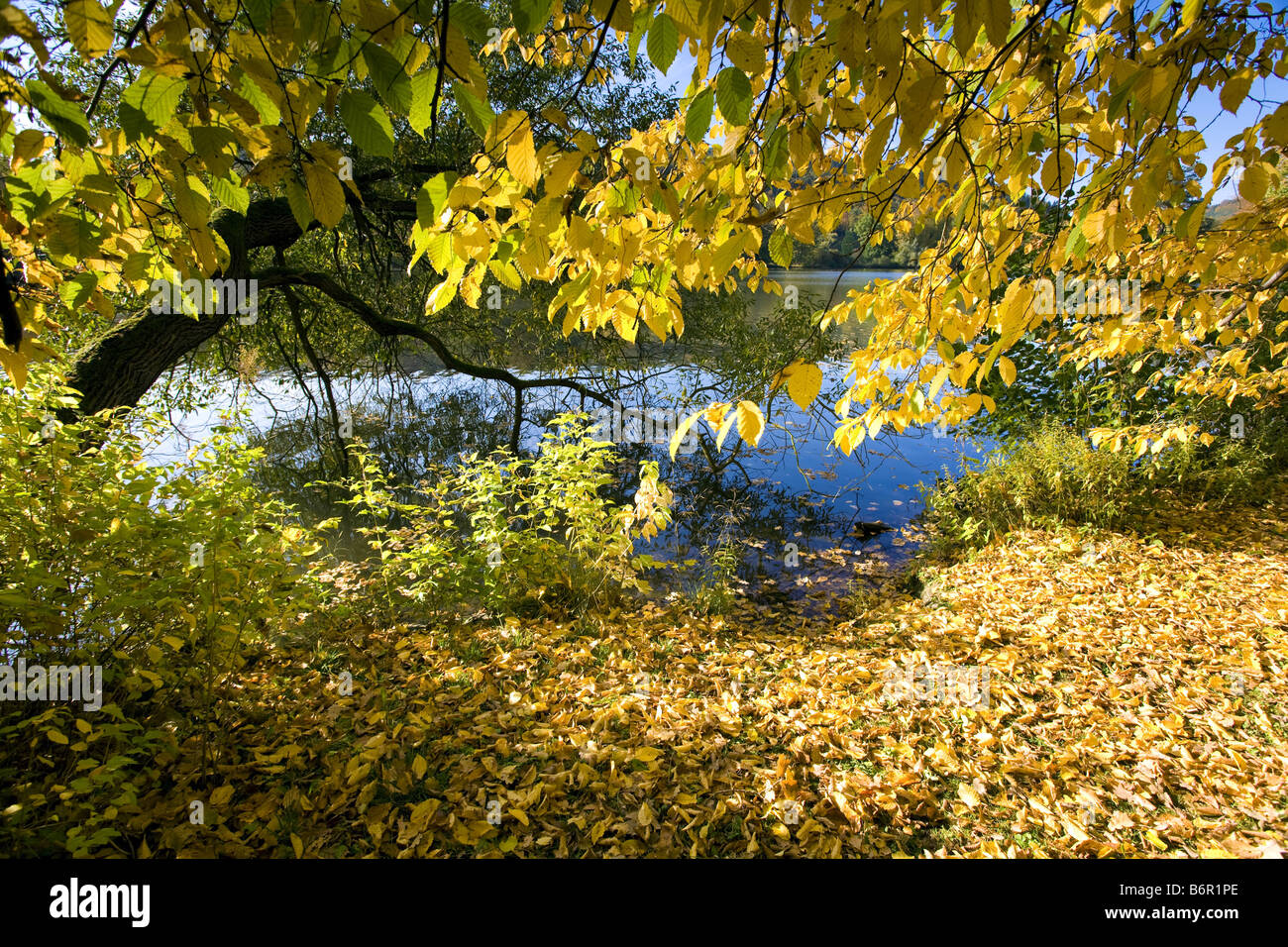 lake at palace ground Greiz, Germany, Thueringen, Greiz Stock Photo - Alamy