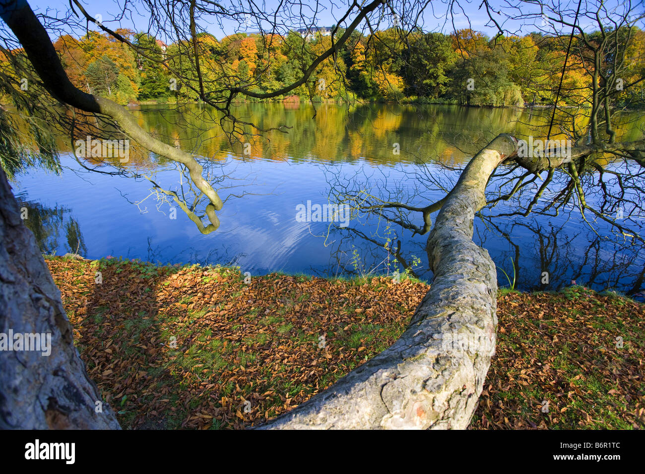 lake at palace ground Greiz, Germany, Thueringen Stock Photo - Alamy