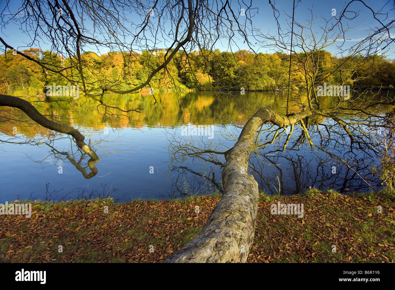 lake at palace ground Greiz, Germany, Thueringen Stock Photo - Alamy