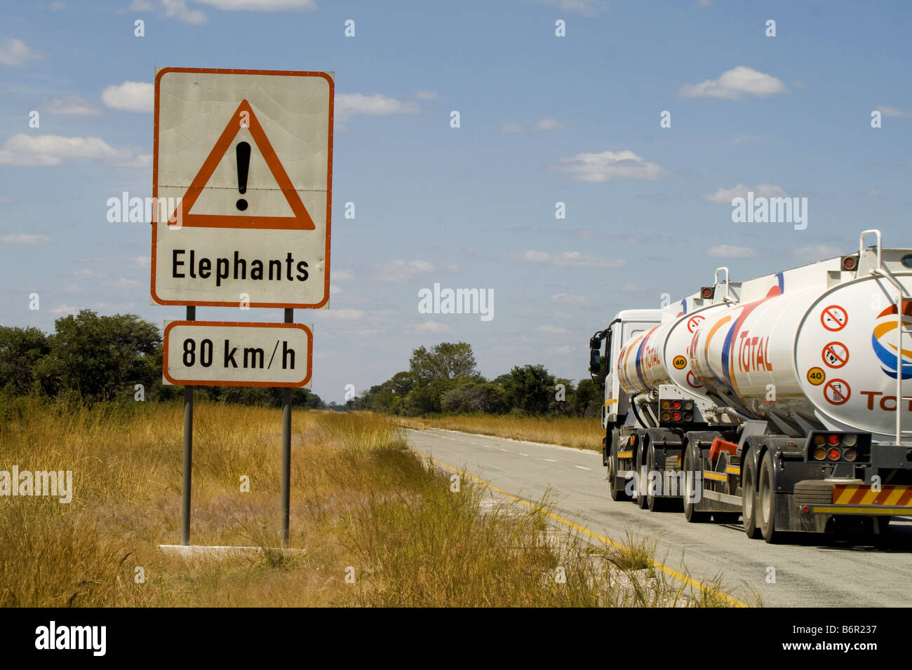 Traffic Sign Caution Elephants Stock Photos & Traffic Sign Caution ...