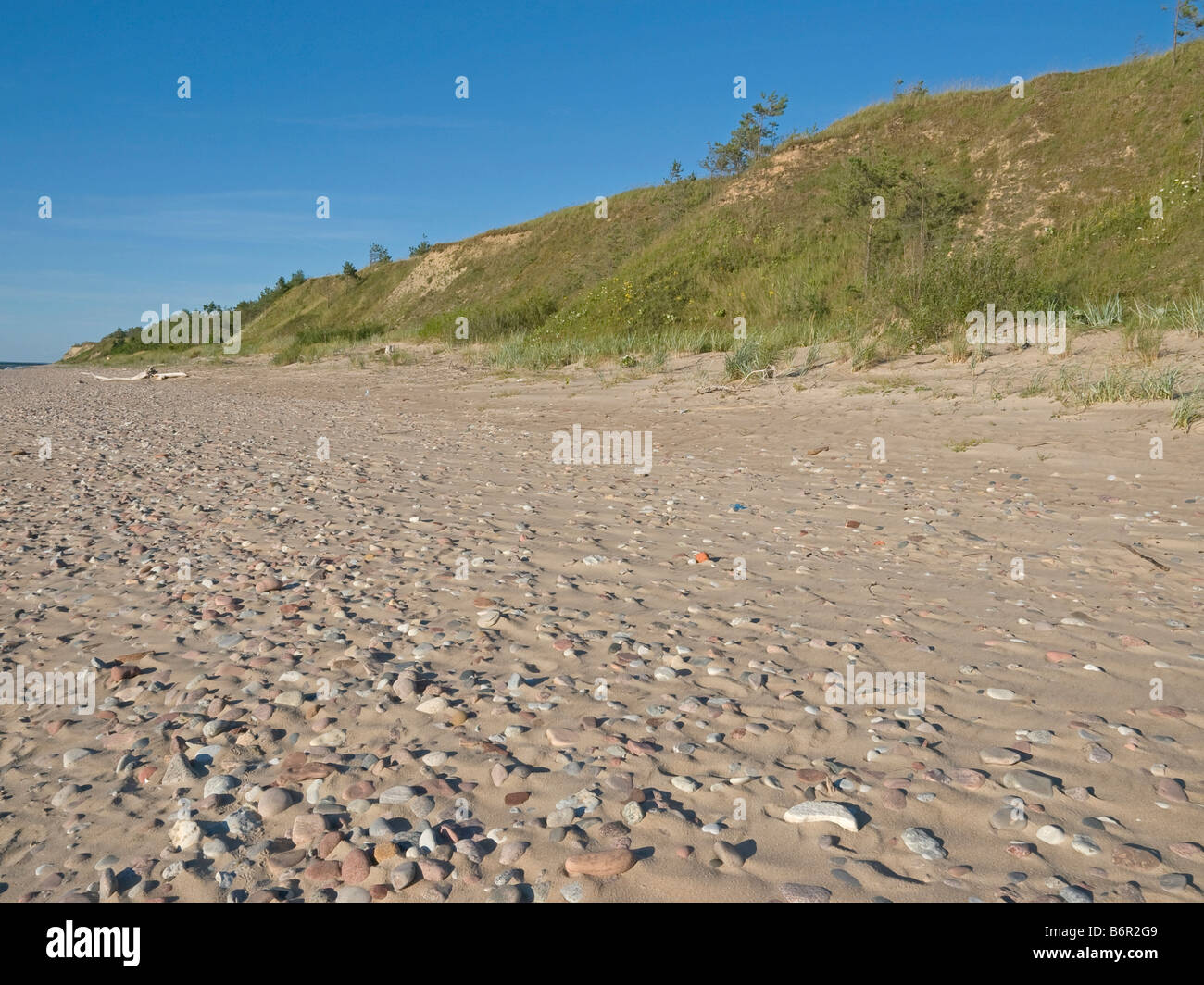 empty beach with dunes with dune vegetation at the coast of Baltic Sea ...