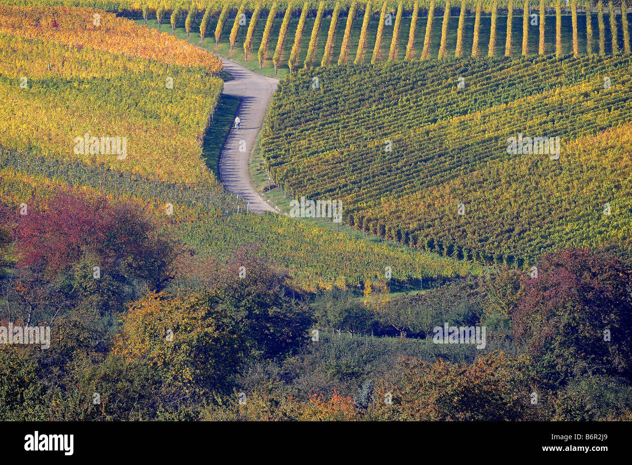 Field Path Through Cultural Landscape High Resolution Stock Photography ...