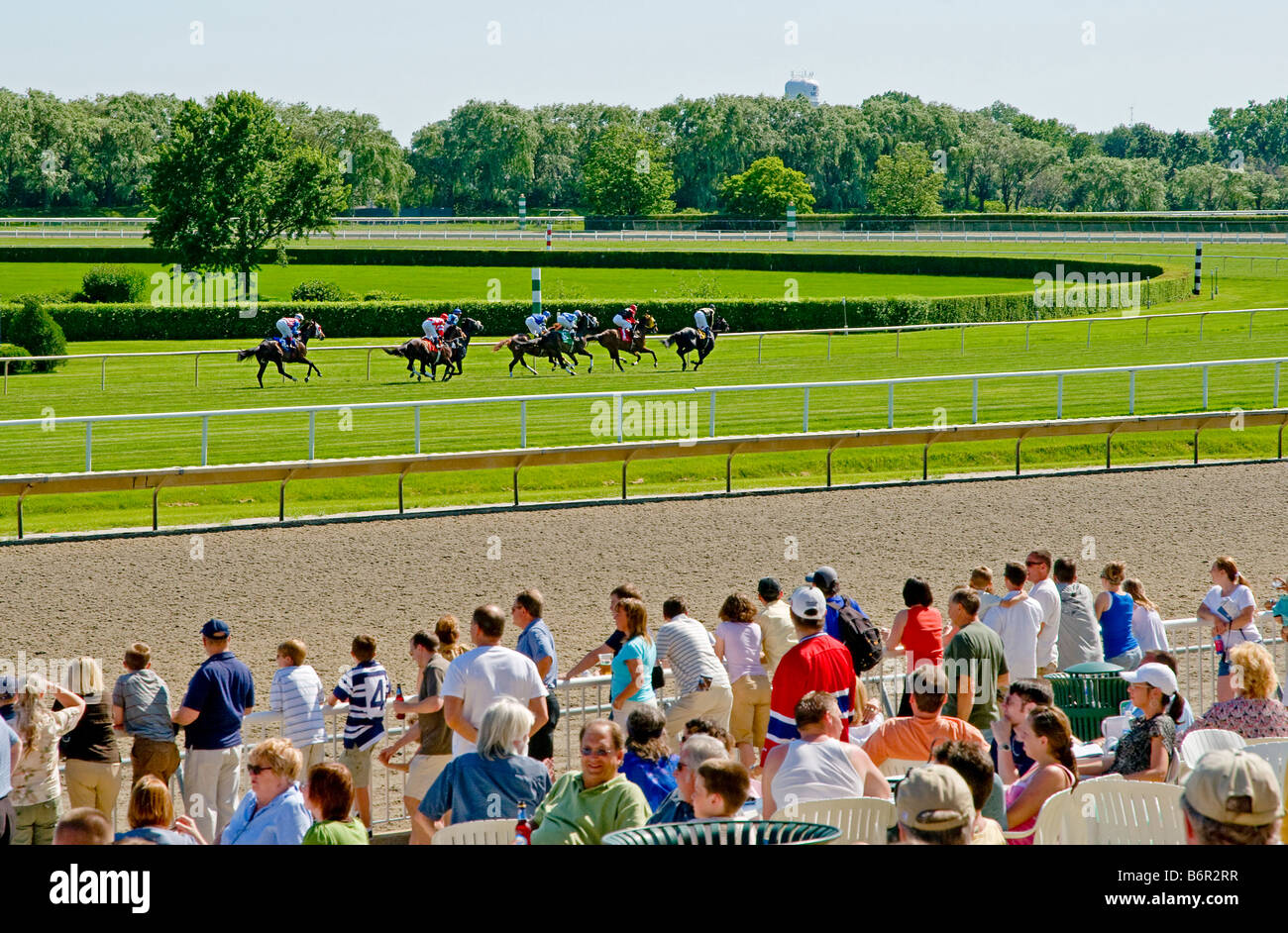 Turf Race First Turn Stock Photo - Alamy