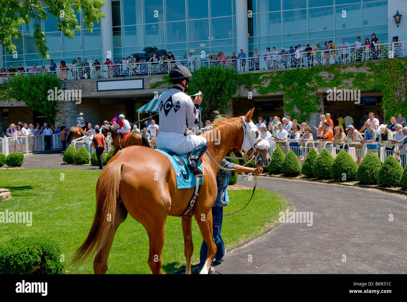What Is The Paddock In Horse Racing at Susan Callahan blog