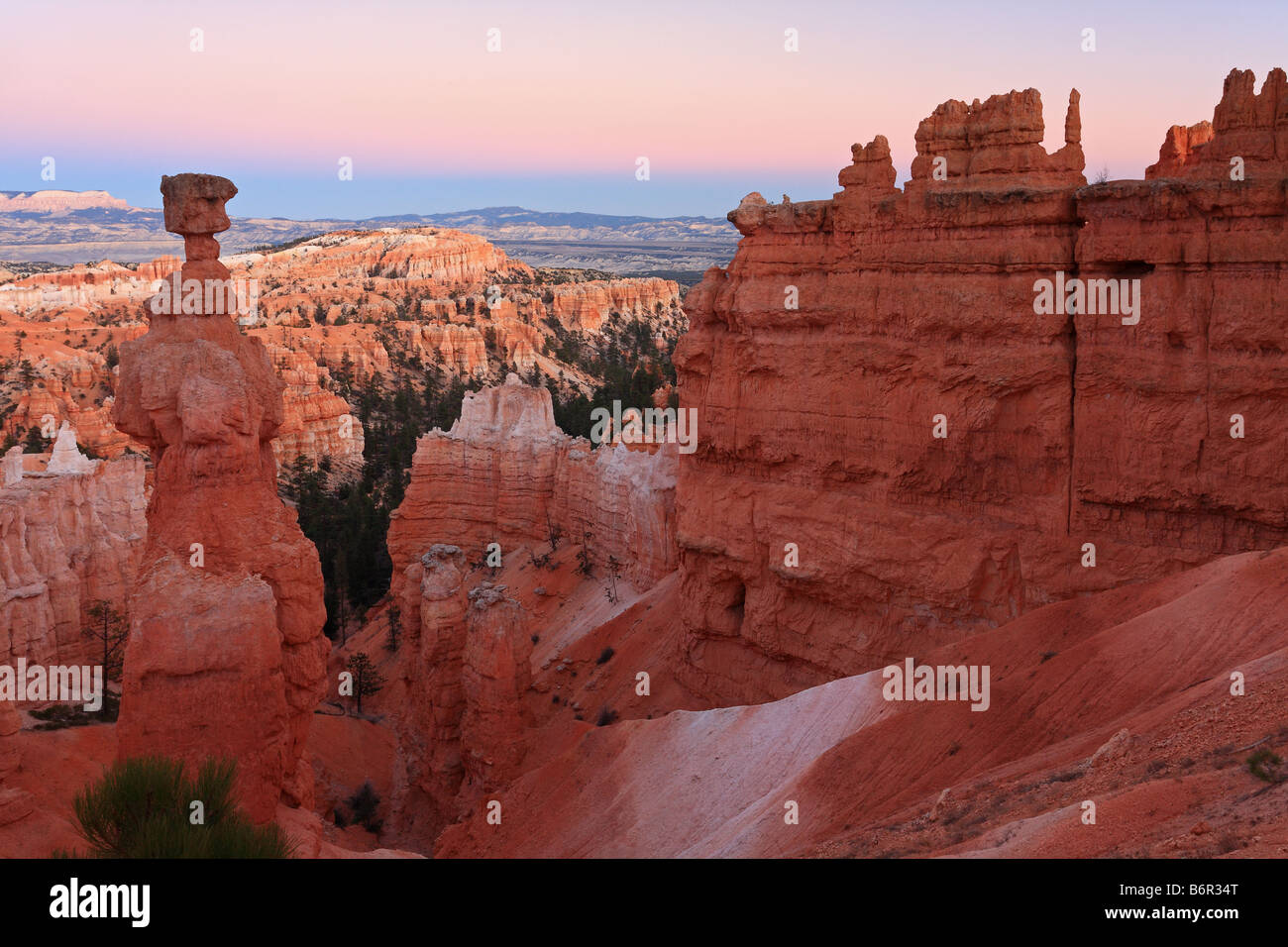 Thor's Hammer formation in Bryce National Park Stock Photo - Alamy