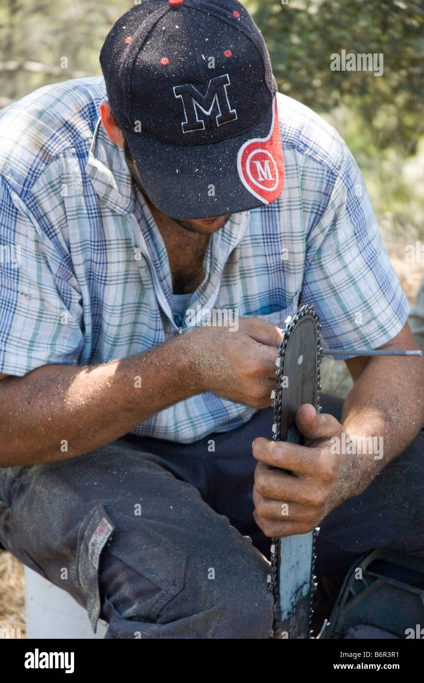 Forester fixing his power saw Stock Photo - Alamy