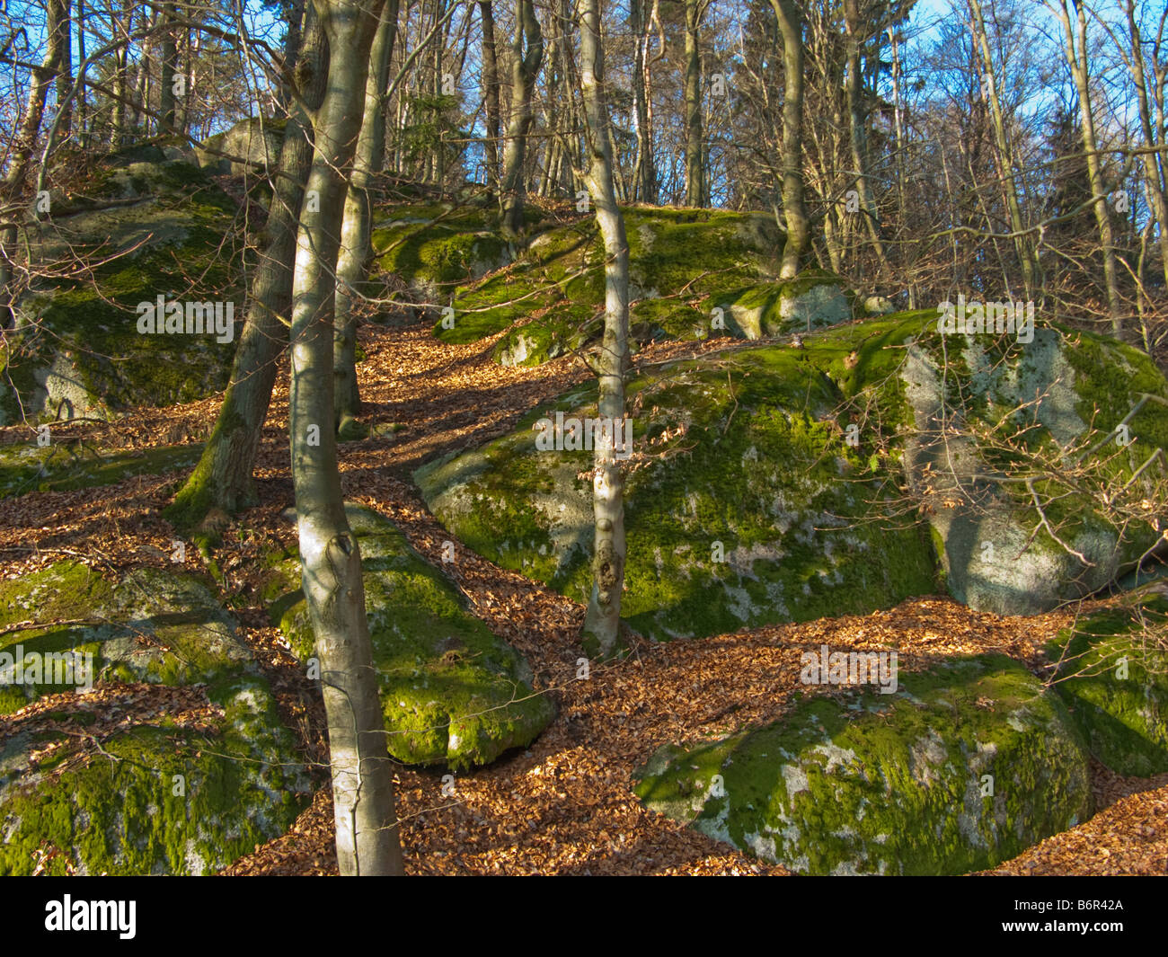 big stone glacial boulders erratic blocks drift boulder perched block ...