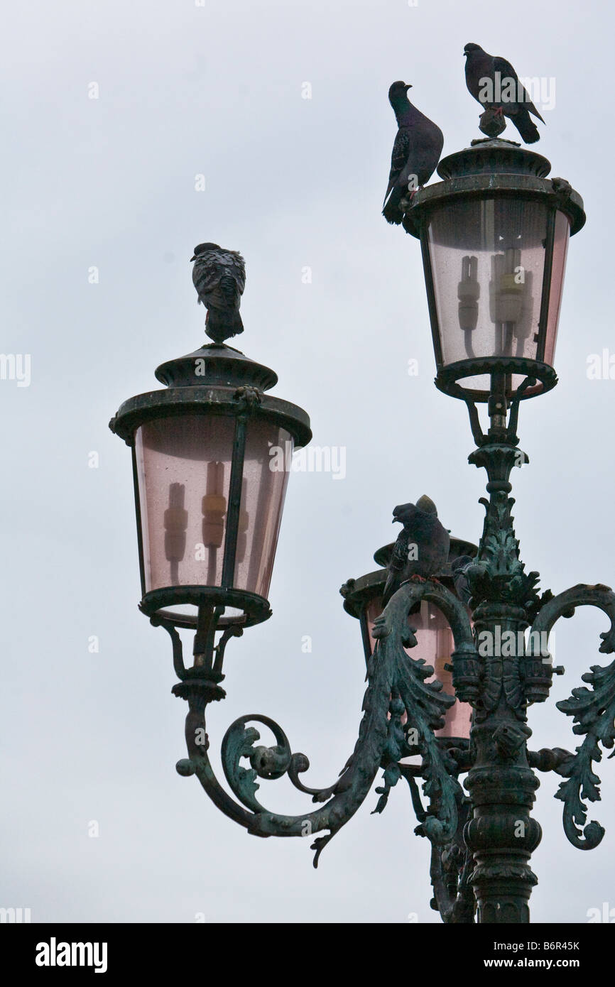 Pigeons and Venice lamp post Stock Photo - Alamy