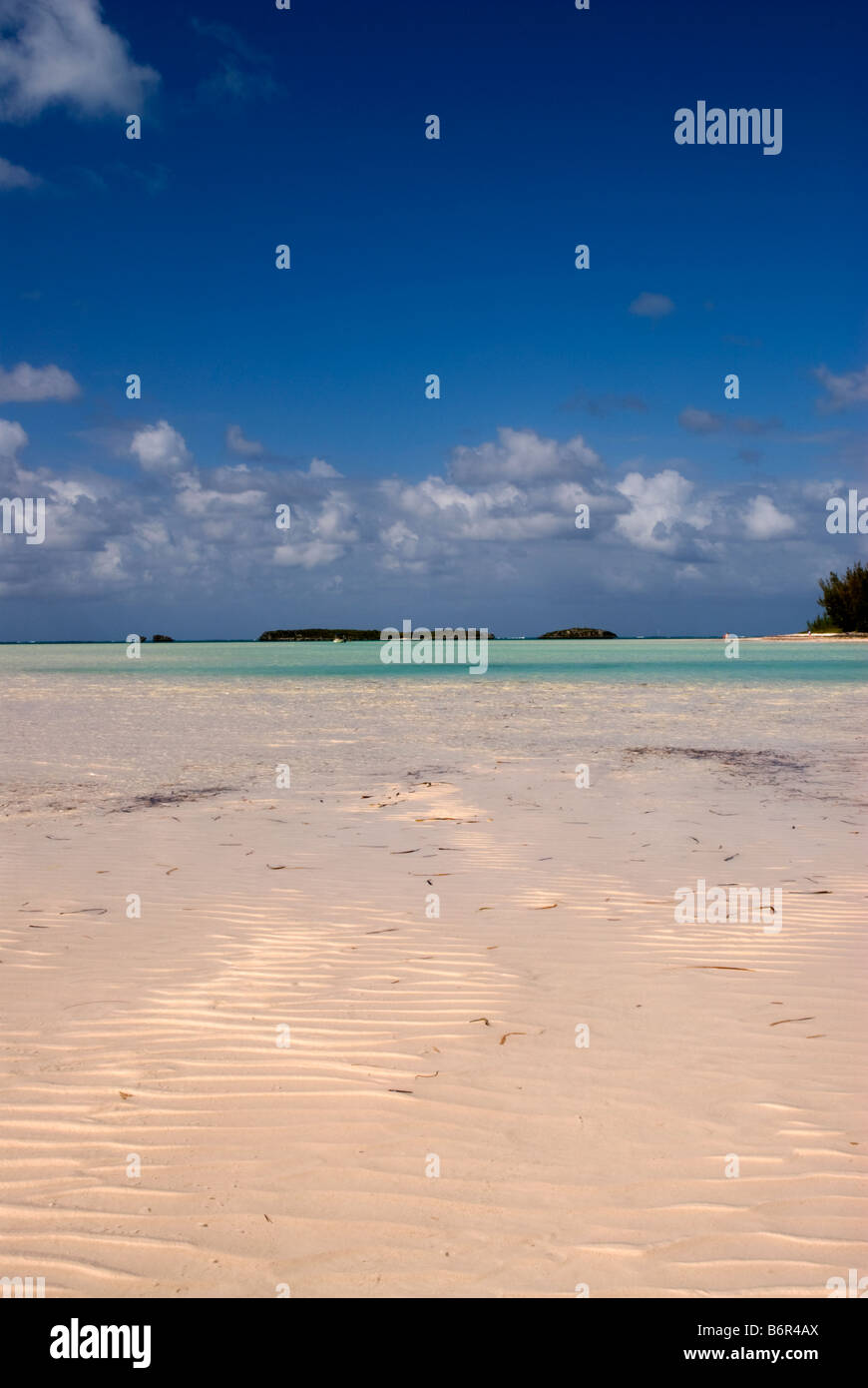 Sandbar Spanish Wells Eleuthera Bahamas Stock Photo - Alamy