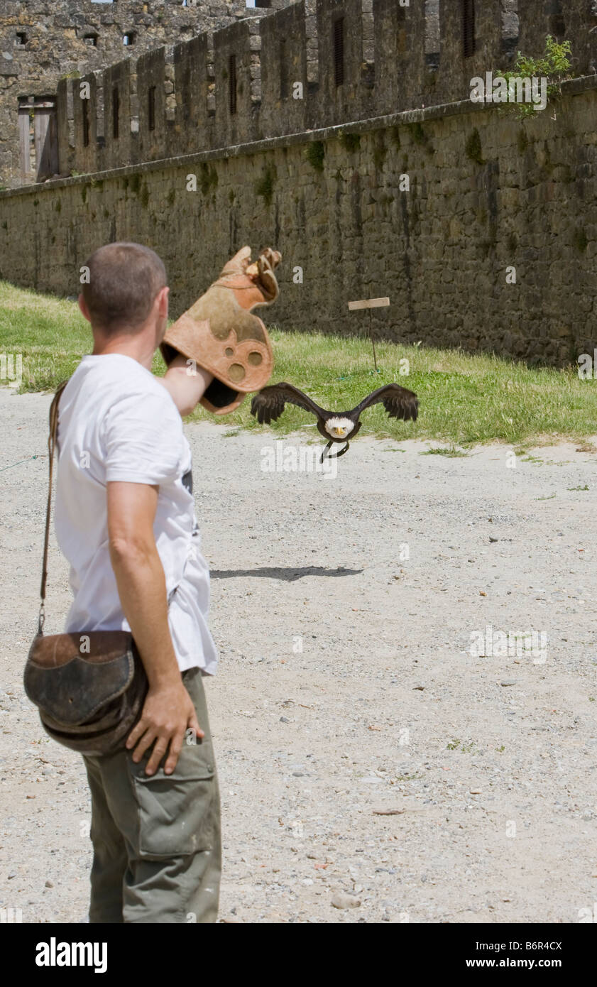 An eagle and bird handler practicing for medieval games in Carcassonne ...
