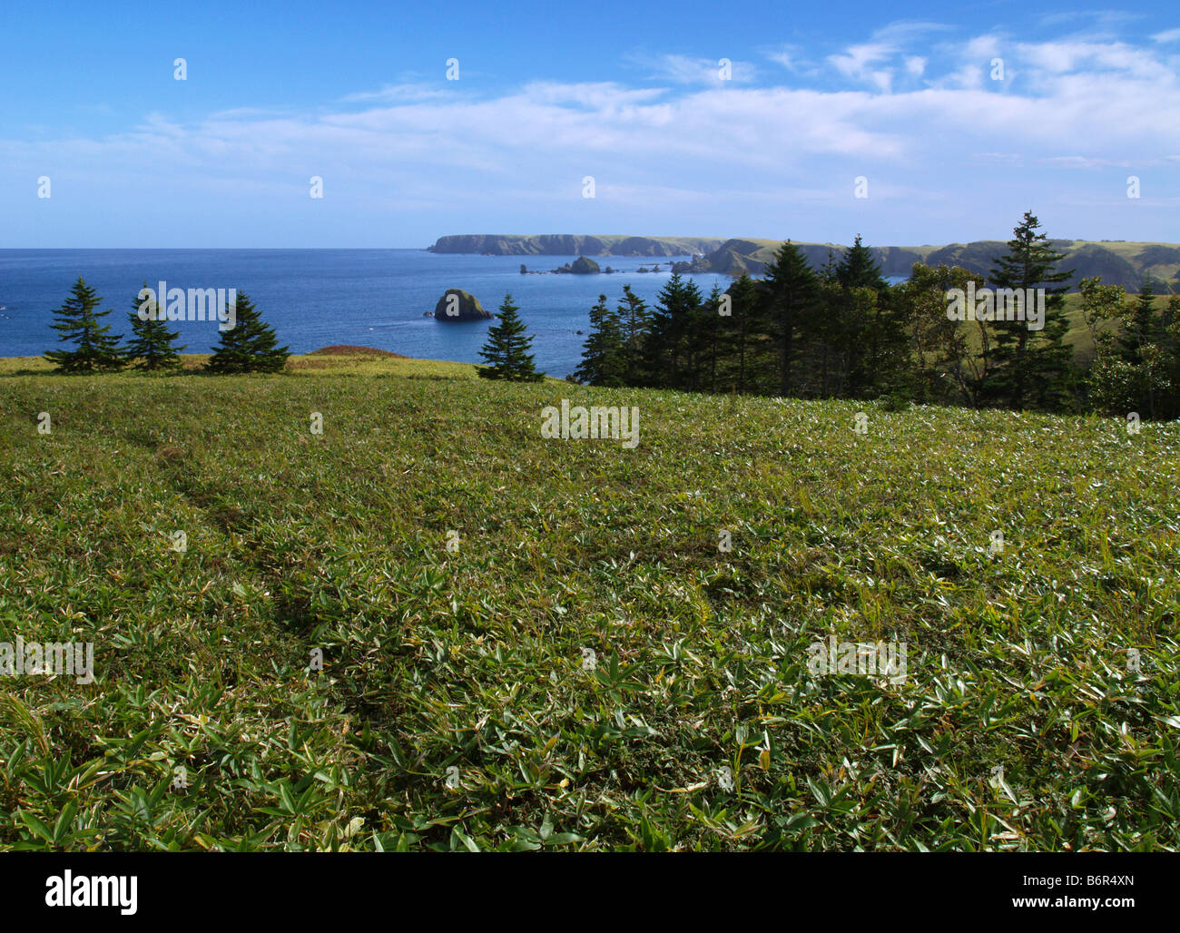 Shikotan island's coast Stock Photo - Alamy
