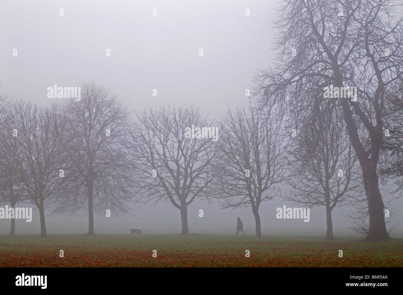 Misty foggy day hi-res stock photography and images - Alamy