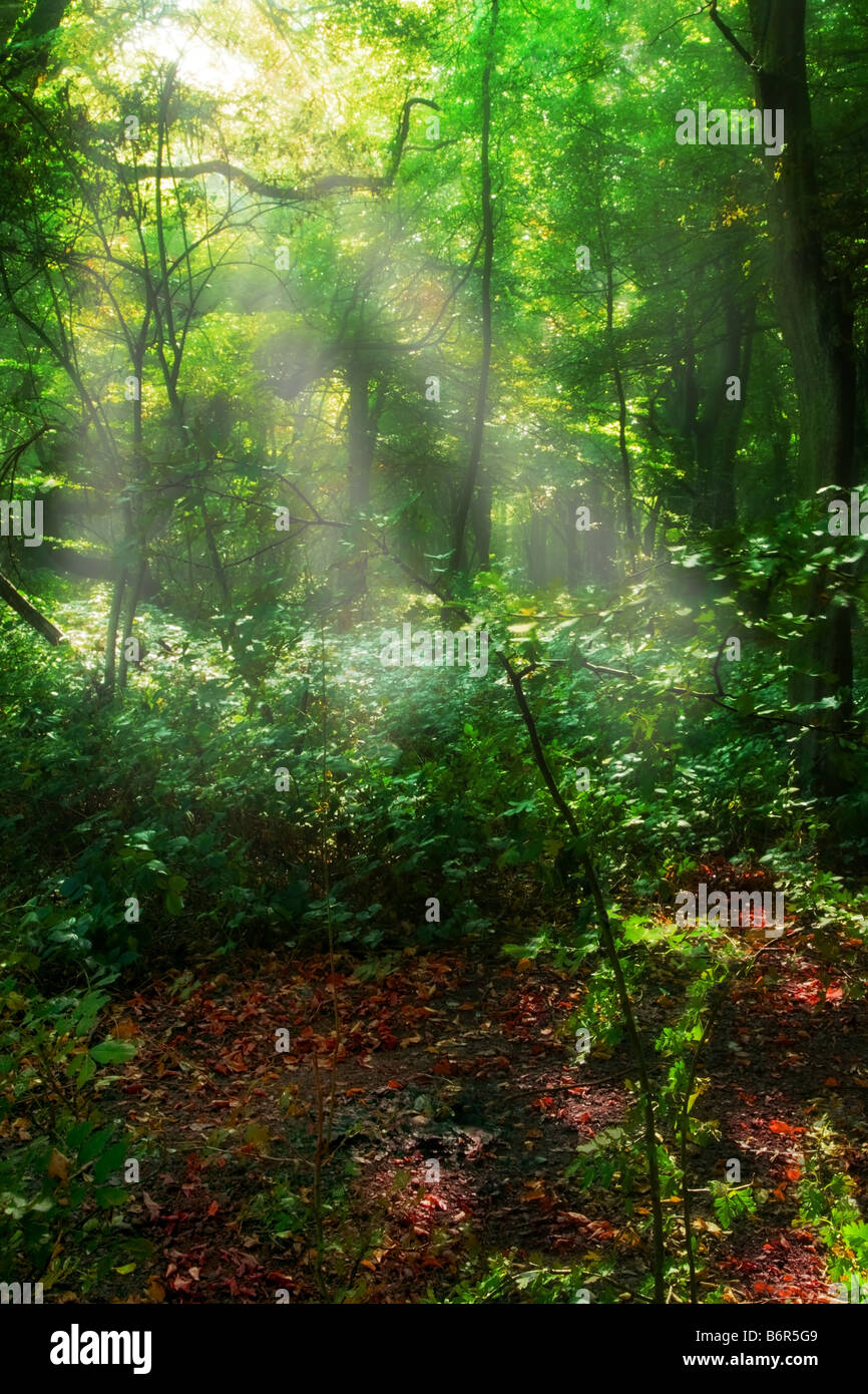 Lightshafts hi-res stock photography and images - Alamy