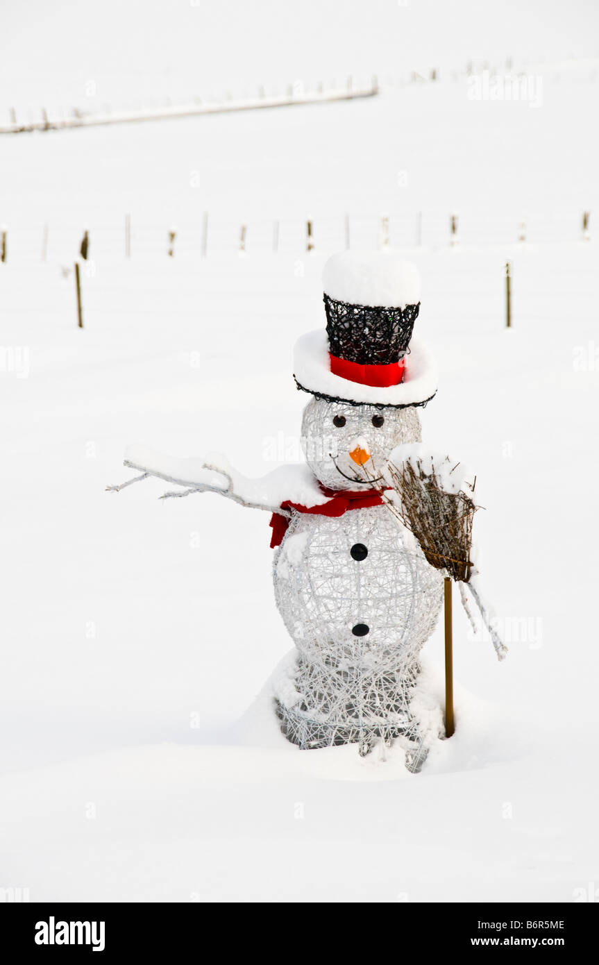Snowman in a country field Stock Photo - Alamy