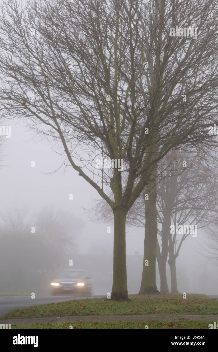 Past trees hi-res stock photography and images - Alamy