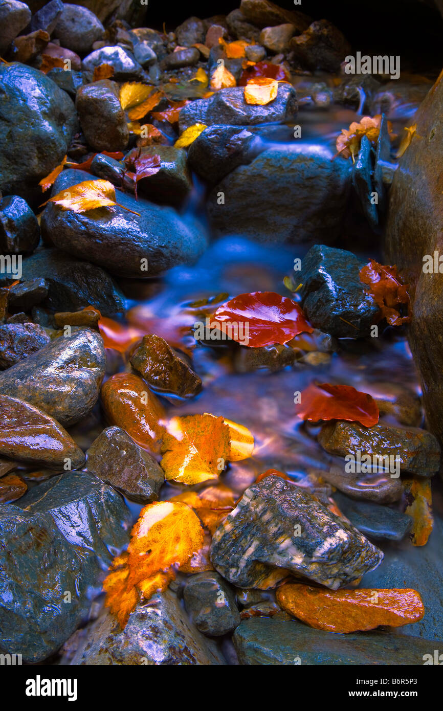 Stream pebbles hi-res stock photography and images - Alamy