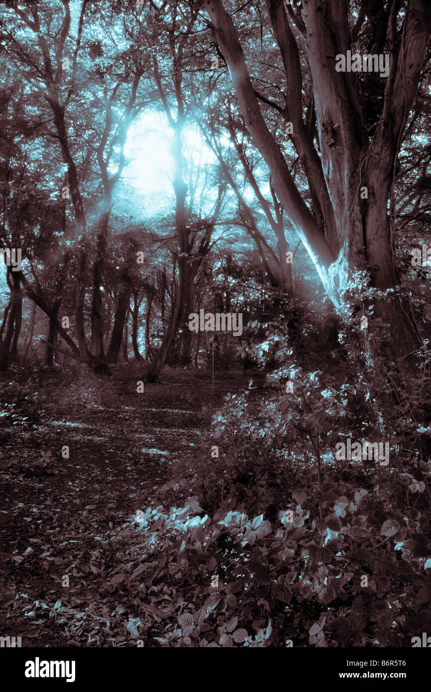 Lightshafts hi-res stock photography and images - Alamy