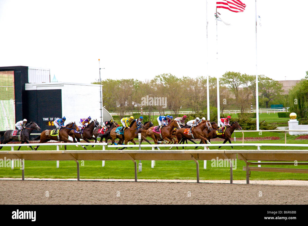 Synthetic turf horse race track hi-res stock photography and images - Alamy