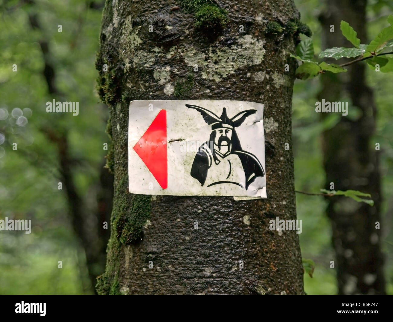 sign for hiking route with a symbol on a tree trunk in forest in ...