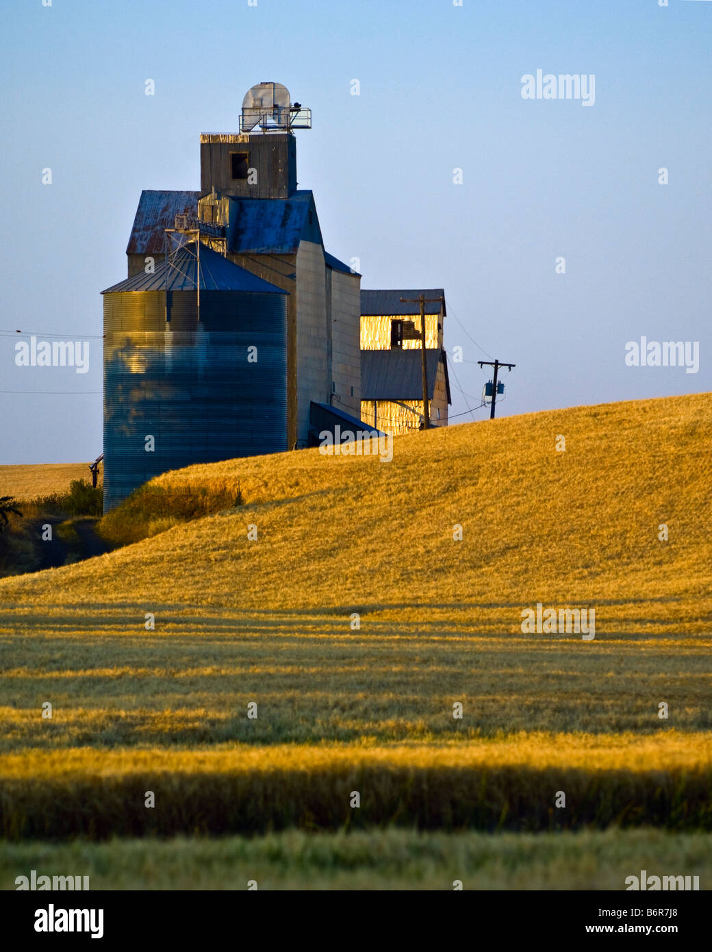 A grain storage facility at sunset with a field of barley in the ...