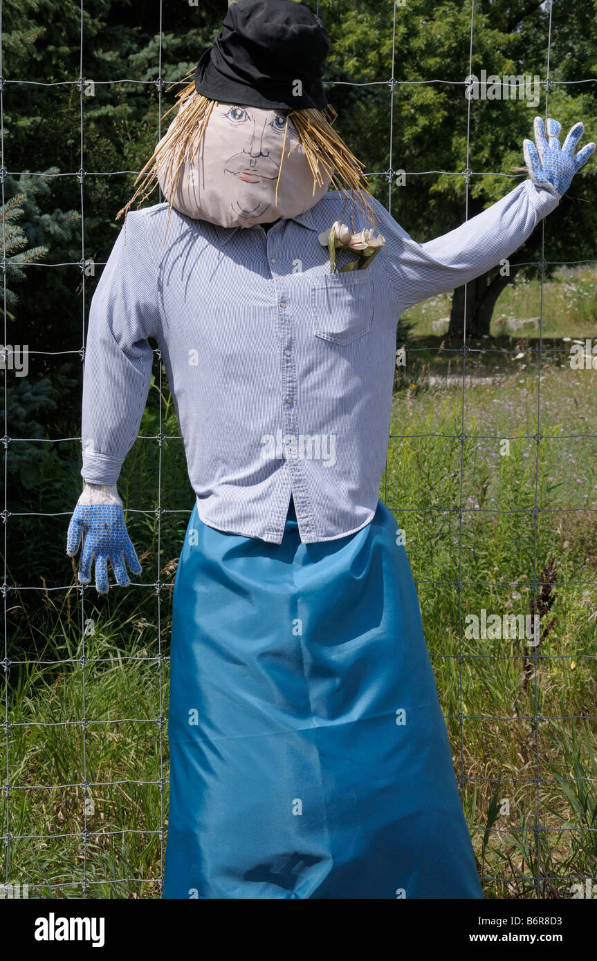 Scarecrow vegetable garden hi-res stock photography and images - Alamy