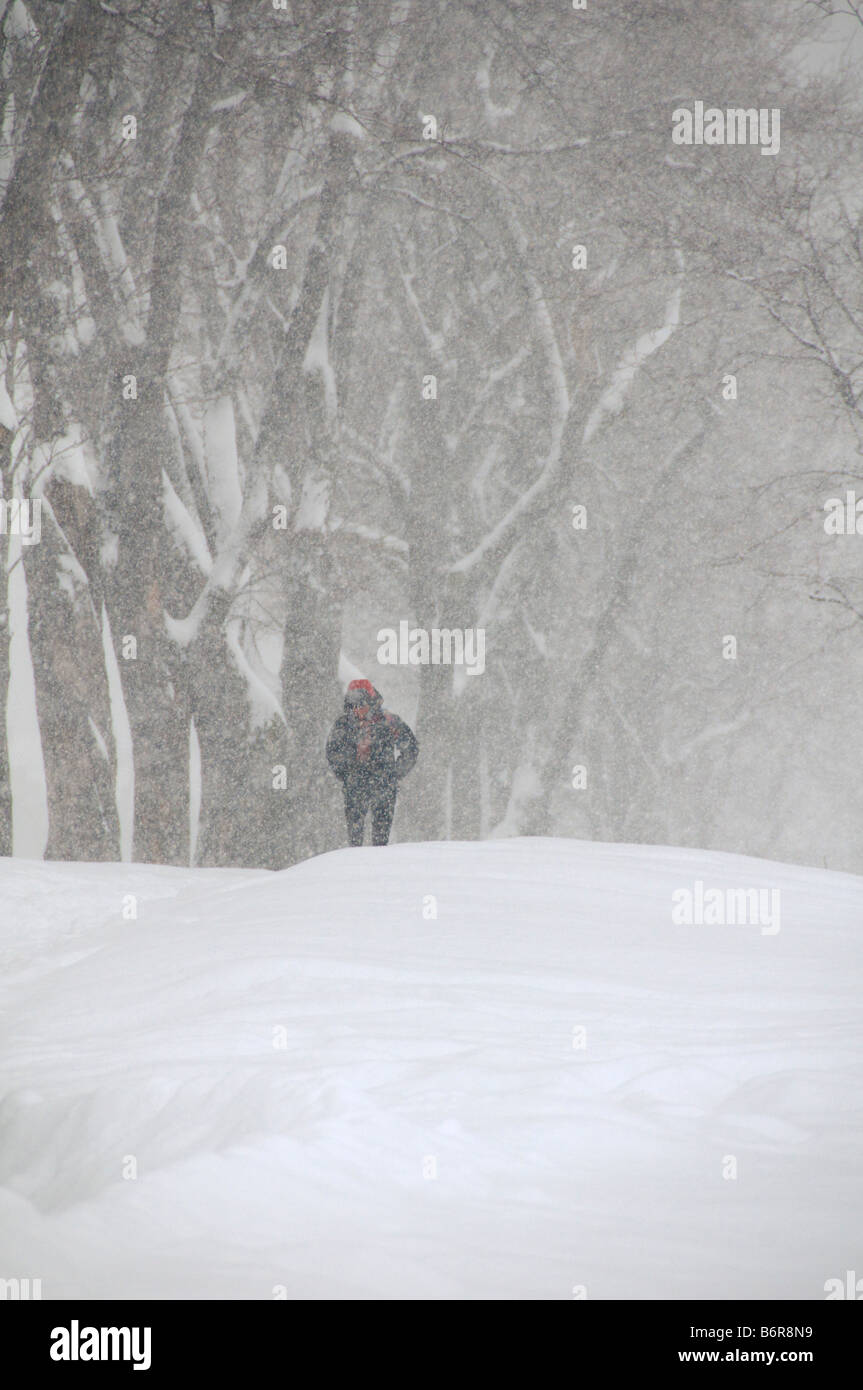 Person walking during a snow storm Montreal Canada Stock Photo - Alamy