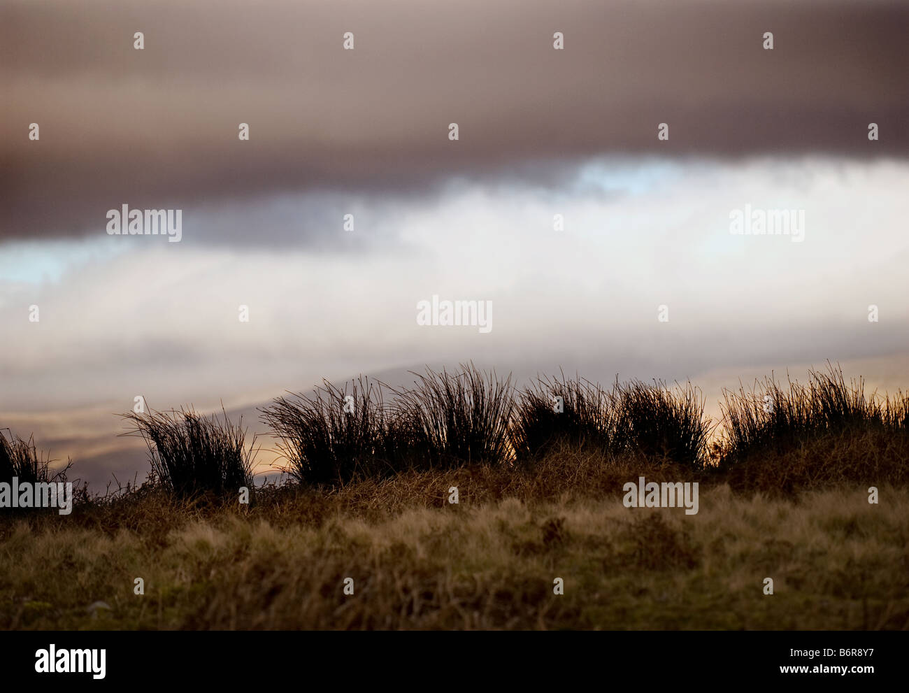 Llangynidr Moors in Wales Stock Photo - Alamy