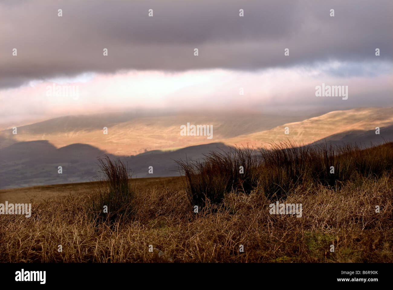 Llangynidr Moors in Wales Stock Photo - Alamy