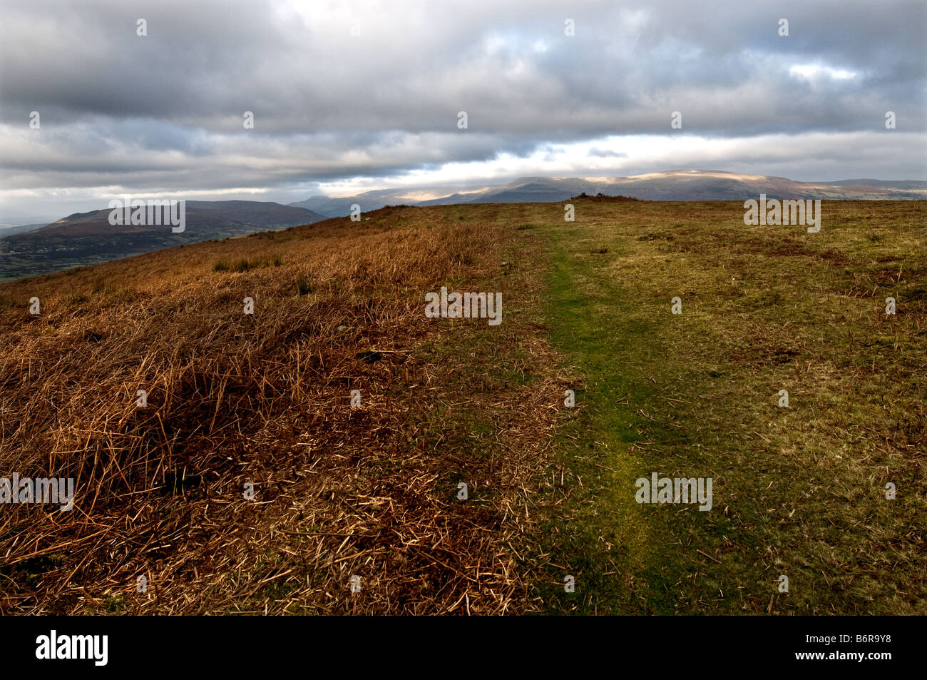 Llangynidr Moors High Resolution Stock Photography and Images - Alamy