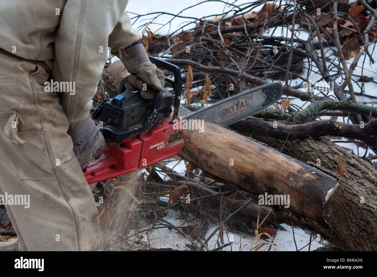 Man cutting tree with chainsaw Stock Photo - Alamy