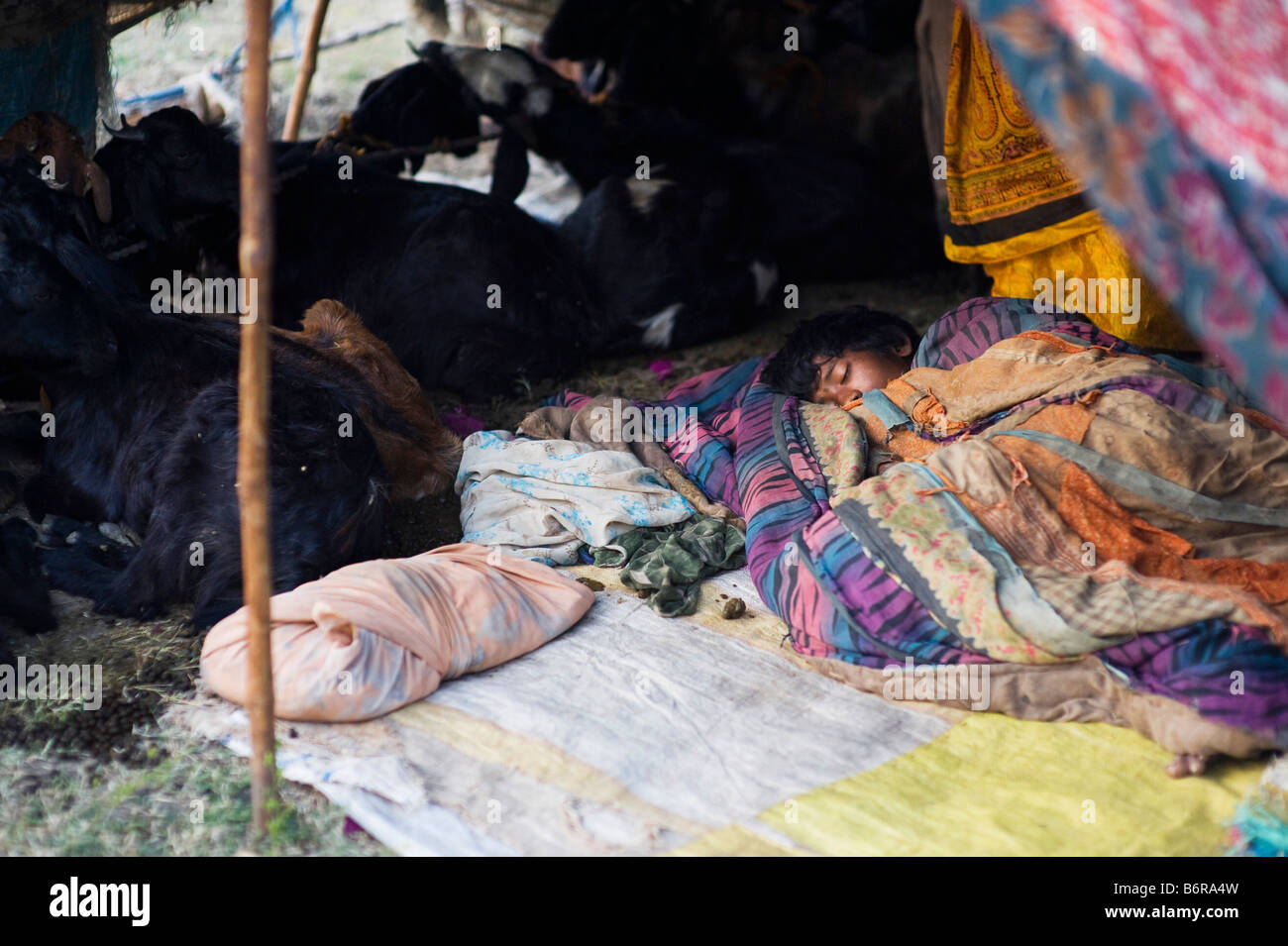 Messy campsite hi-res stock photography and images - Alamy
