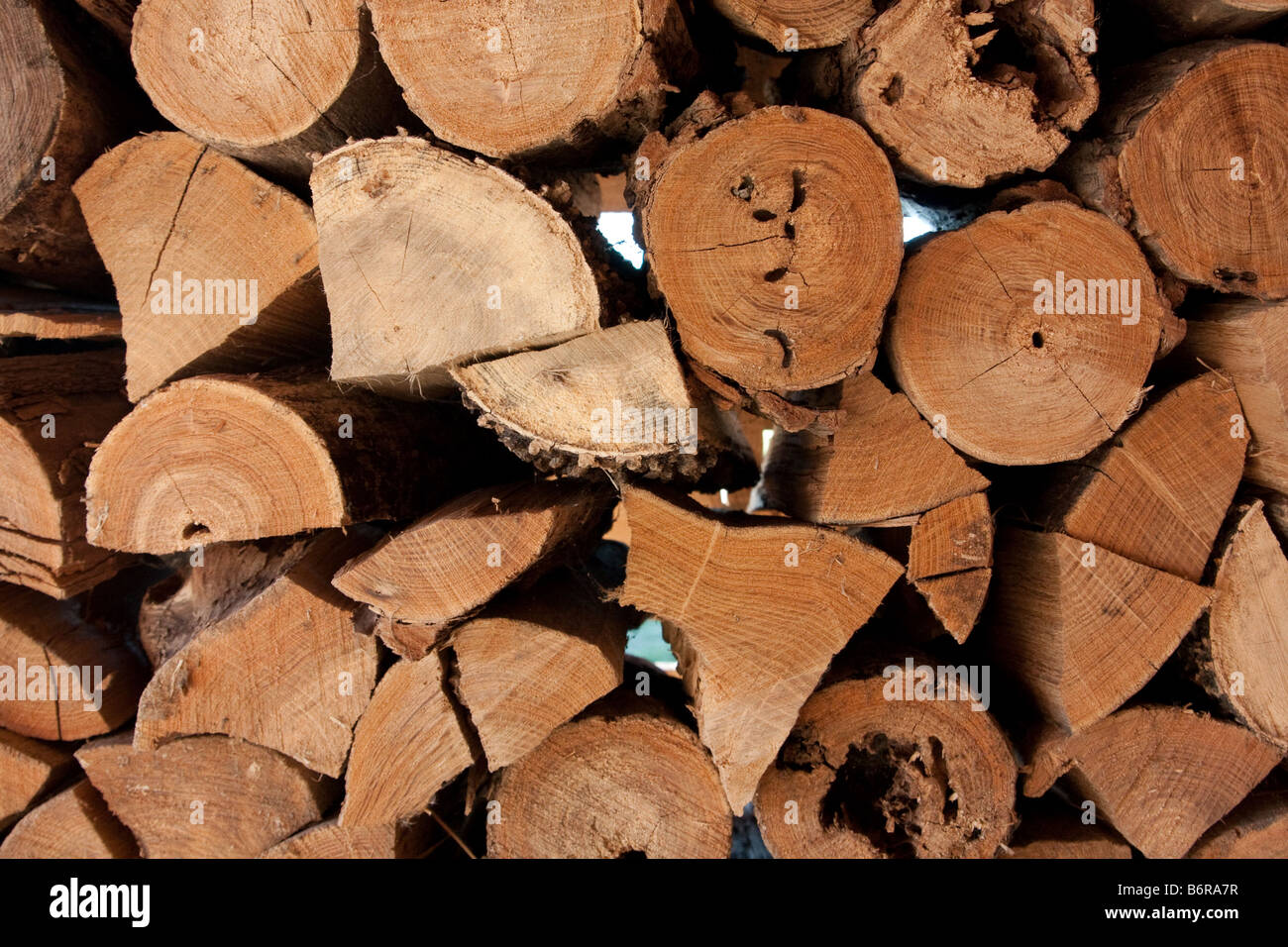 Black locust wood hi-res stock photography and images - Alamy