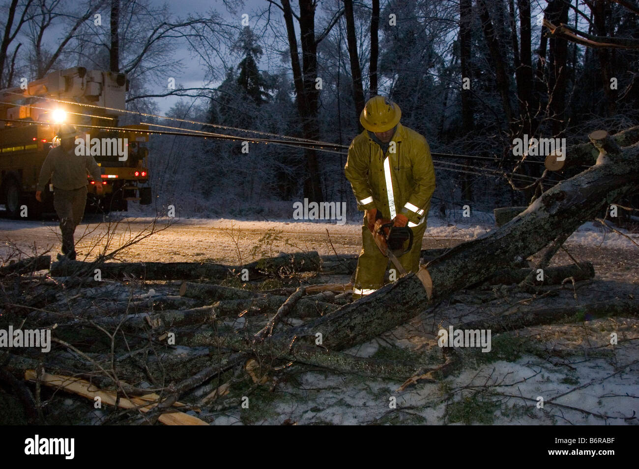 Utility worker cuts through a fallen tree on power line across road ...