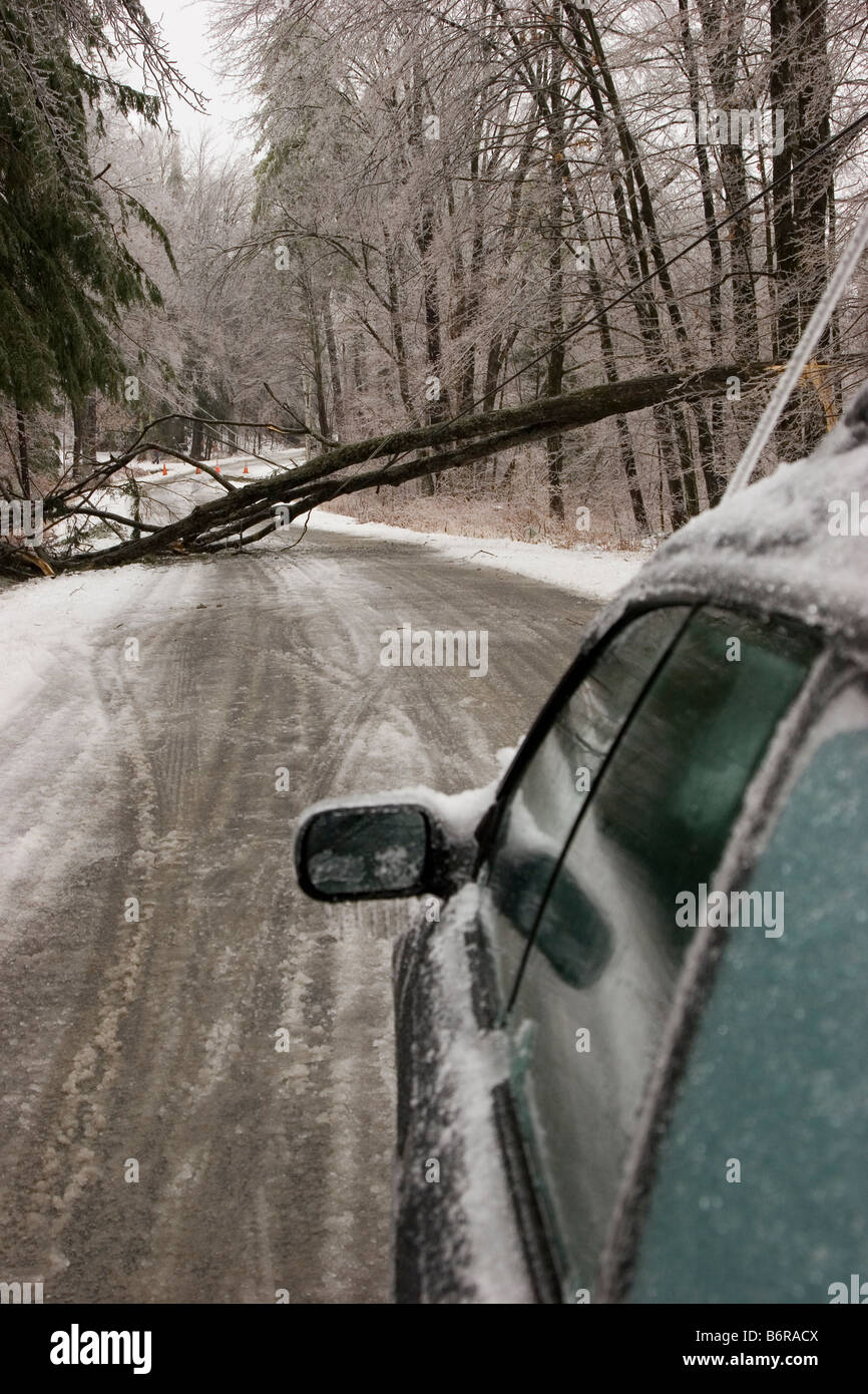 Tree fallen across power line and road in front of car Stock Photo - Alamy